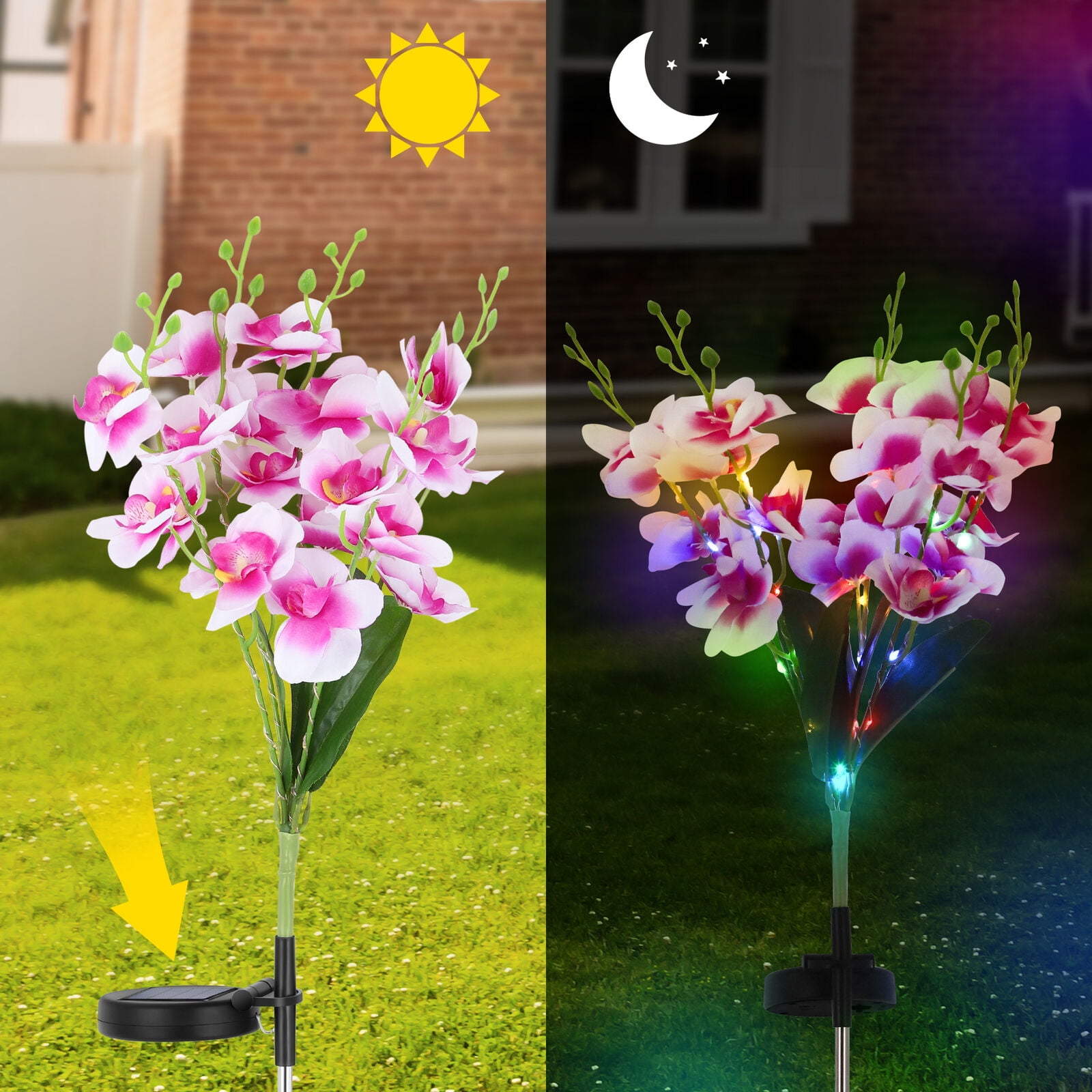 2 Pack Solar Phalaenopsis Flowers Lights Design, Upgraded Garden Solar ...