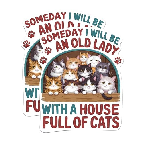 (2 Pack) Someday I Will Be an Old Lady with A House Full of Cats ...
