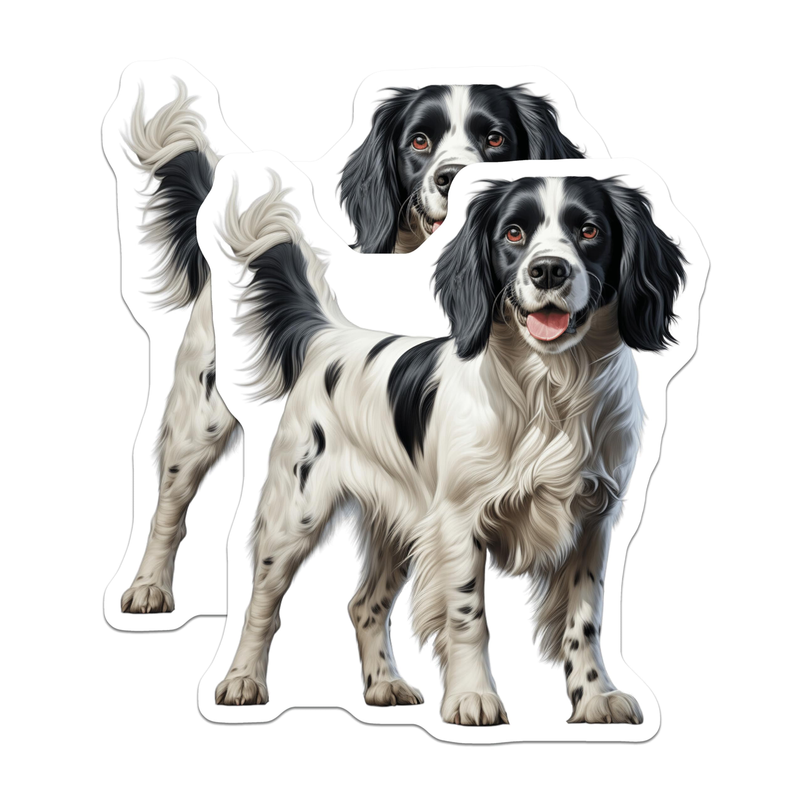 (2 Pack) Springer Spaniel Magnets - Black White Dog Art - Canine ...