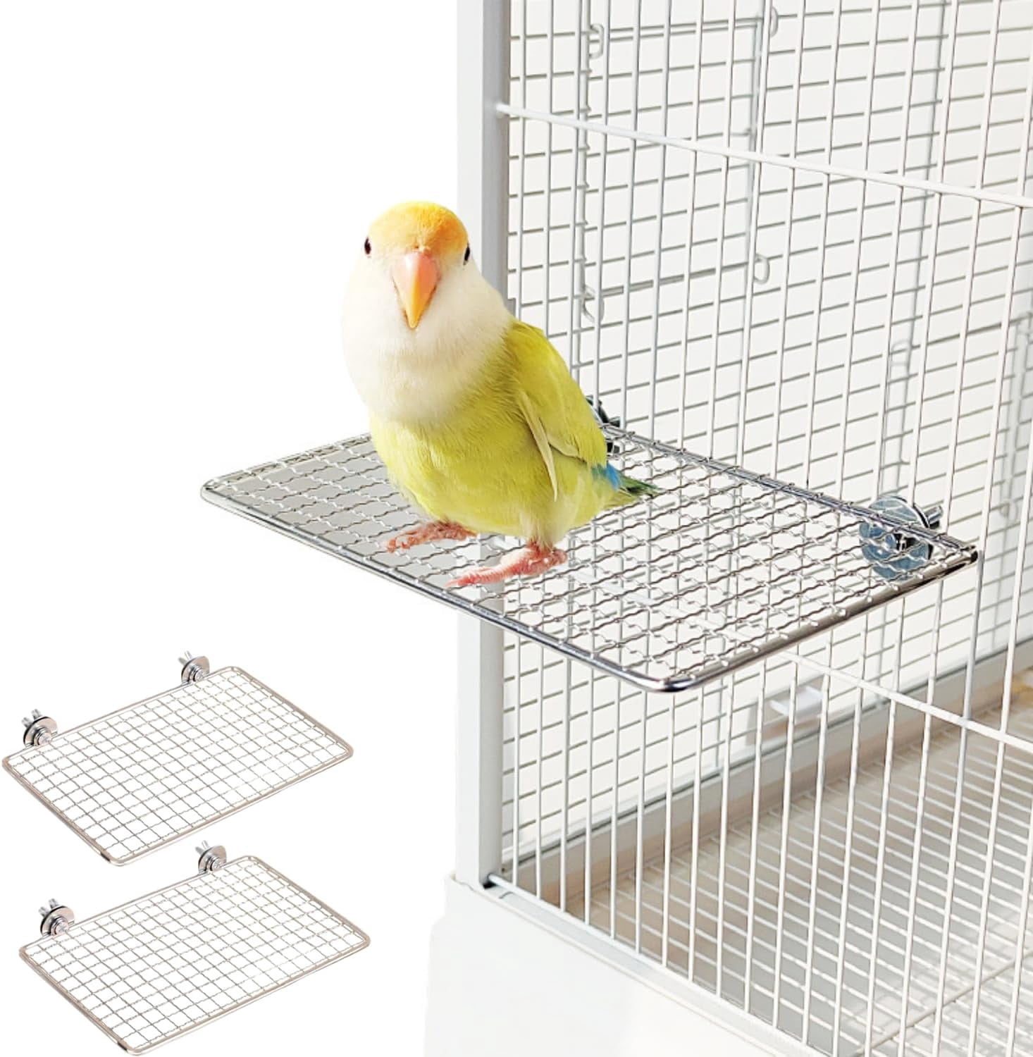 2 Pack Stainless Steel Bird Perch Chew-Resistant Flat Parrot Platform ...