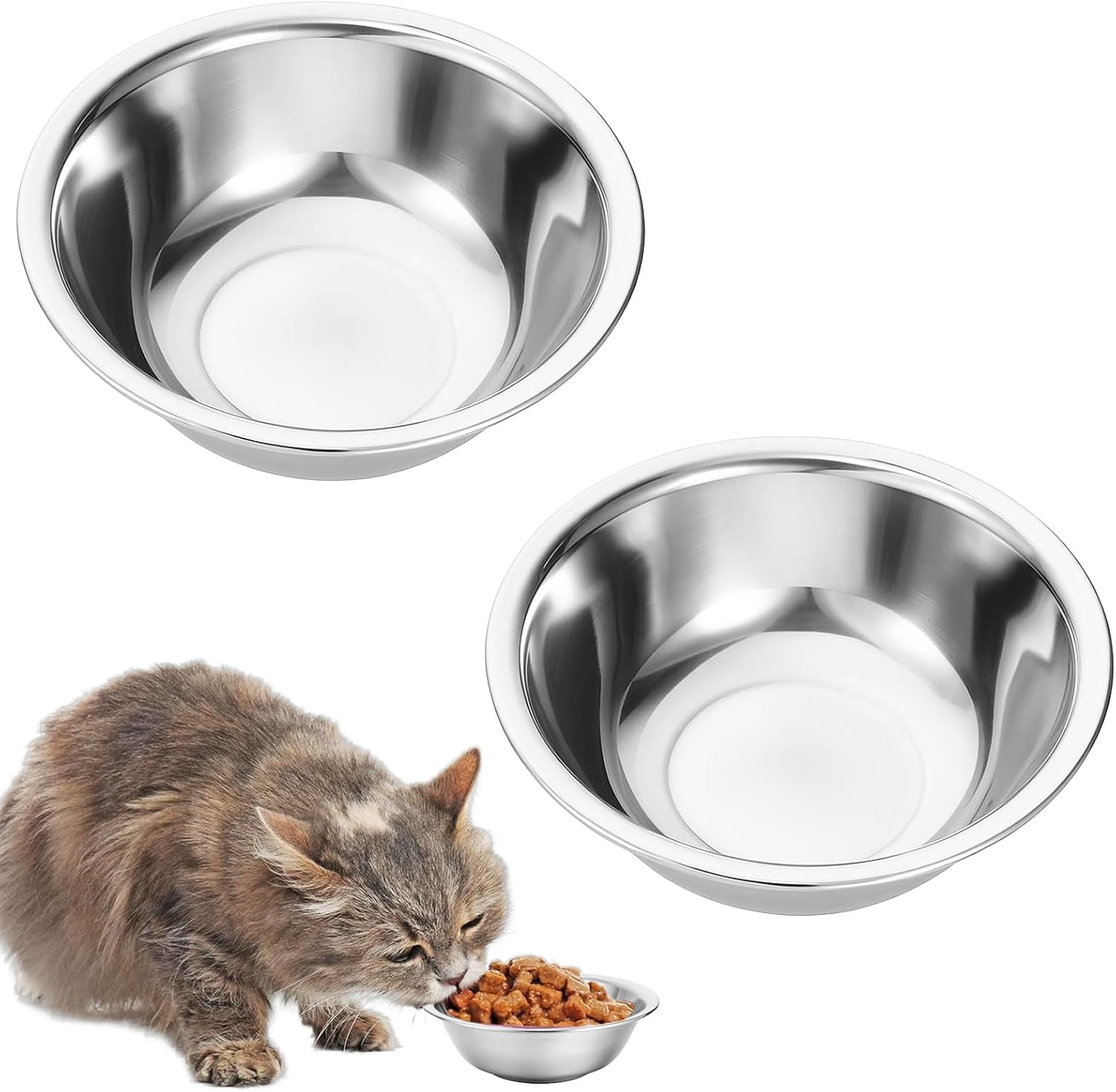 2 Pack Stainless Steel Pet Food and Water Bowls for Cats, Dogs, Small ...