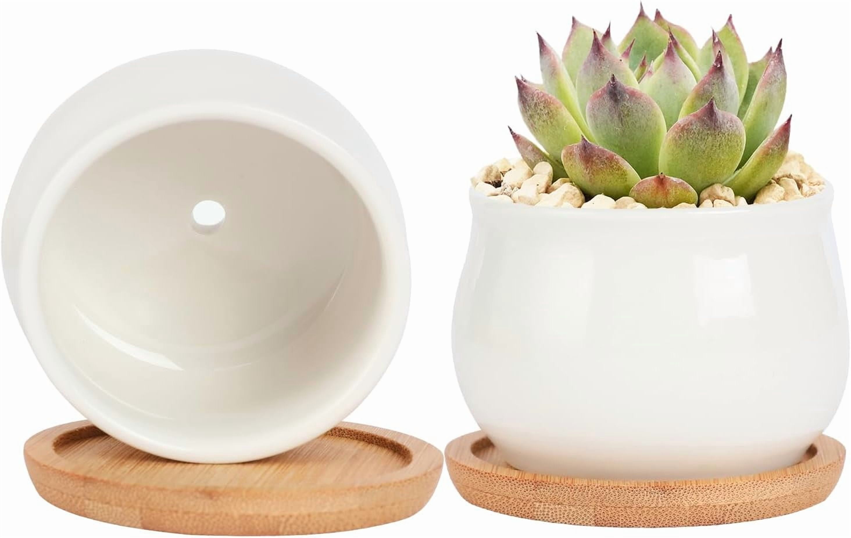 2 Pack Succulent Pots, 2.5 Inch Mini Ceramic Pots for Flower or Cactus ...