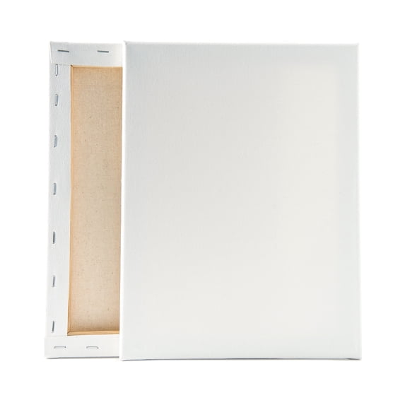 2 Pack Value Canvas by Artist's Loft® - Walmart.com