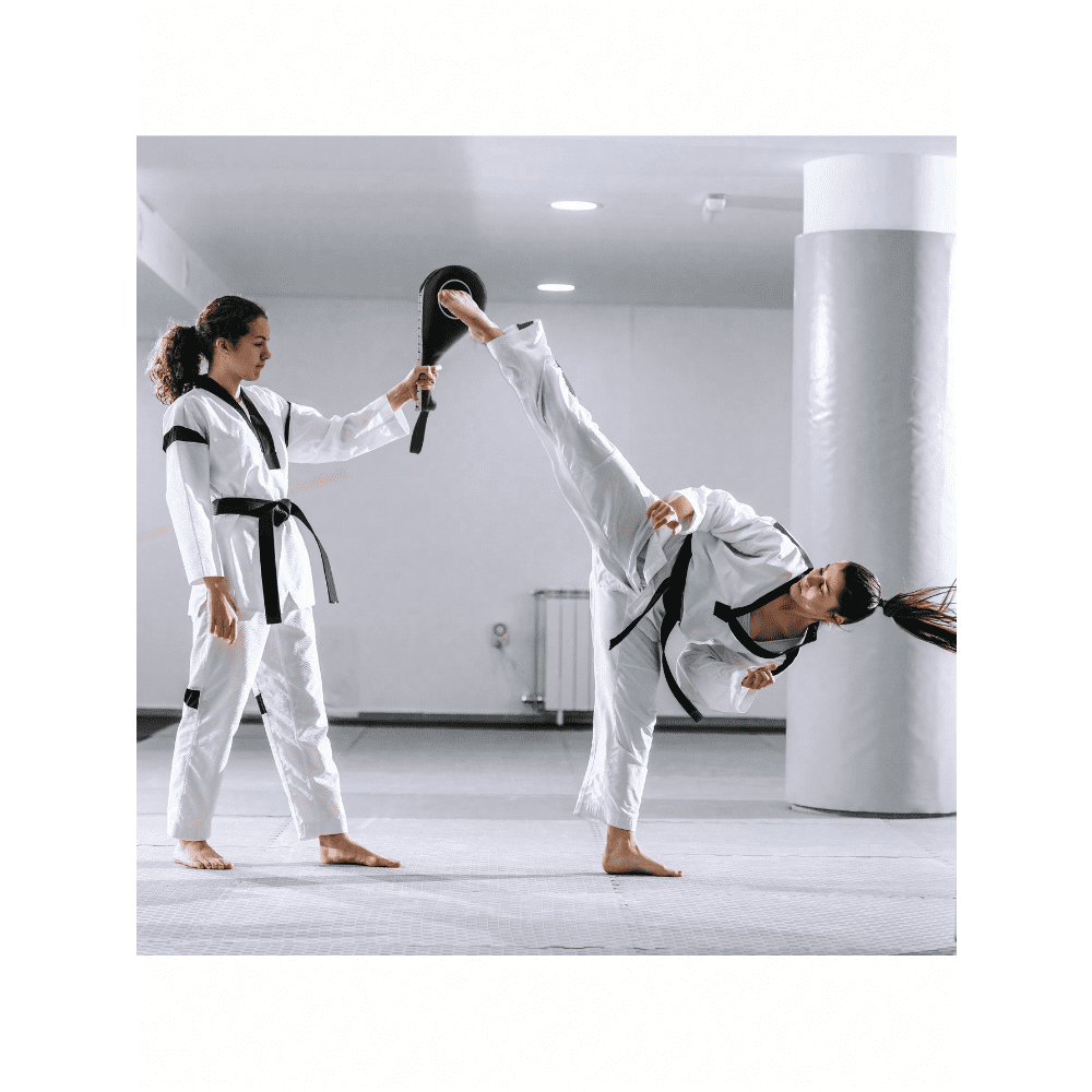 2 Pack Taekwondo Kick Pads, Martial Arts Training Equipment, Kickboxing ...