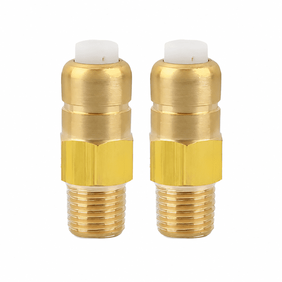 2-Pack Thermal Release Valve for Pressure Washer Pump, 1/4 Inch NPT ...