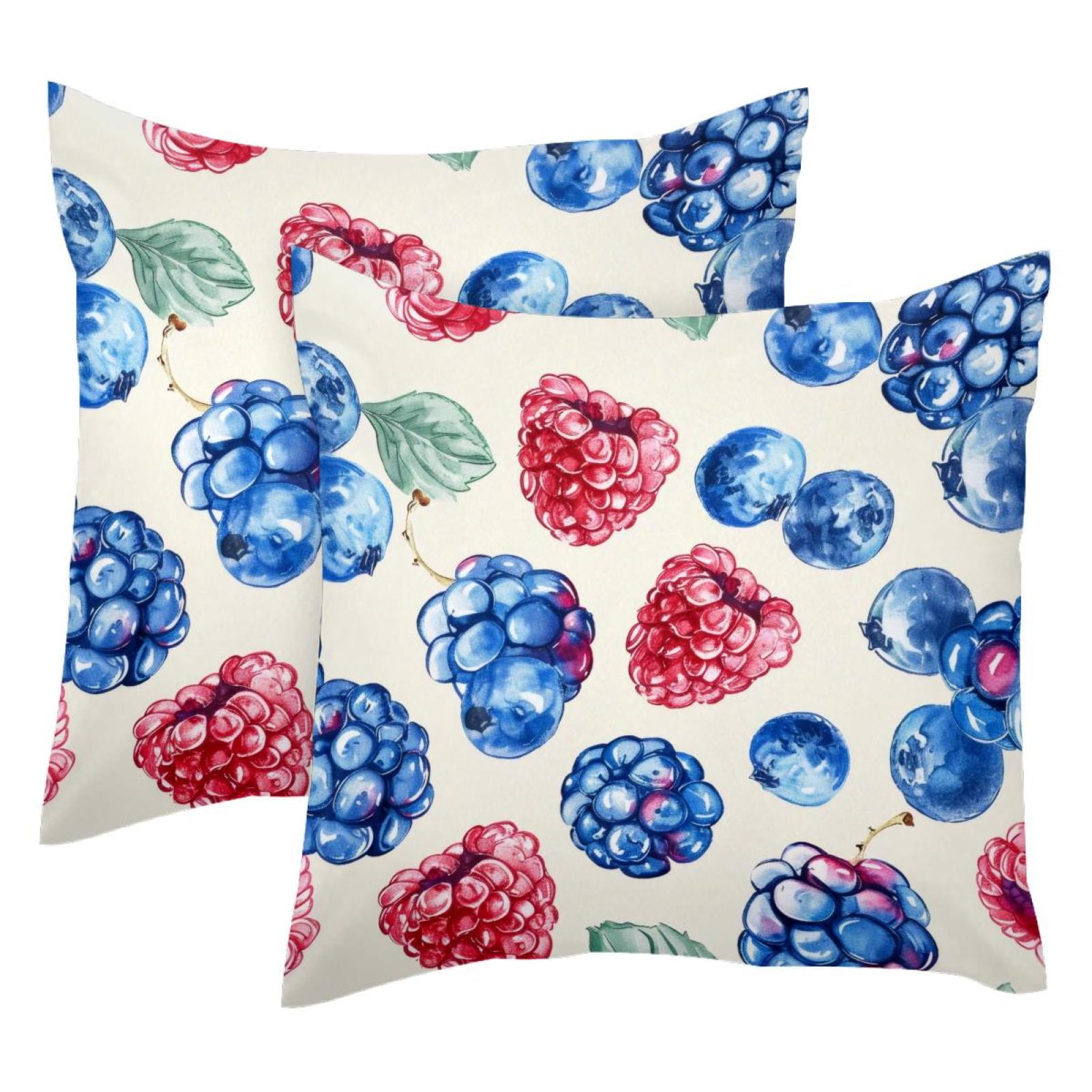 2 Pack Throw Pillow Covers Fruit Raspberry Blueberry Decorative Pillow ...