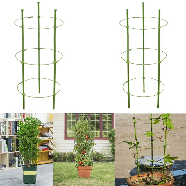 2-Pack Tomato Cage Plants Support, Trellis Climbing Ring Cage Stand for ...