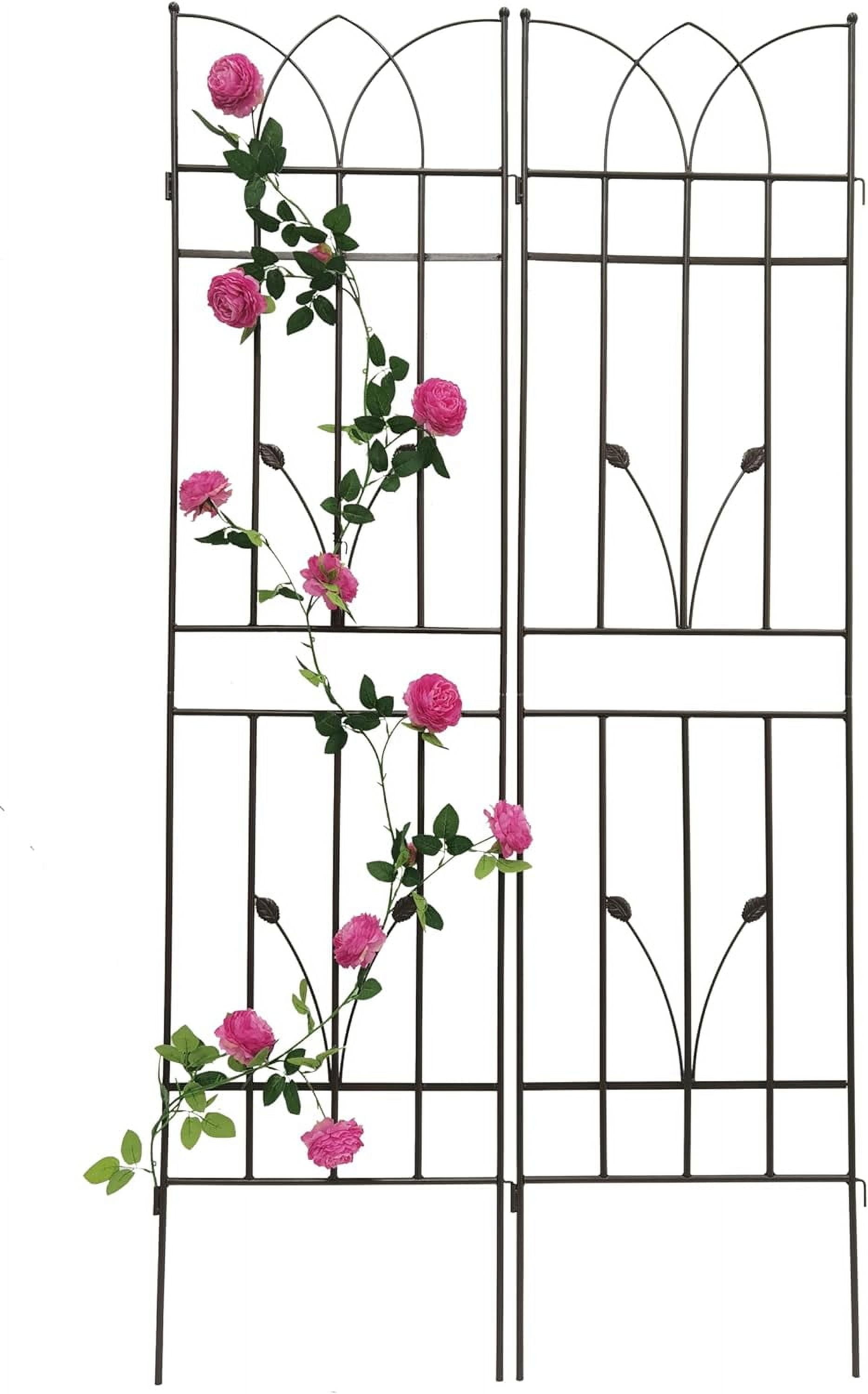 2 Pack Trellis for Climbing Outdoor, 6 FT Tall Galvanized Steel Garden ...