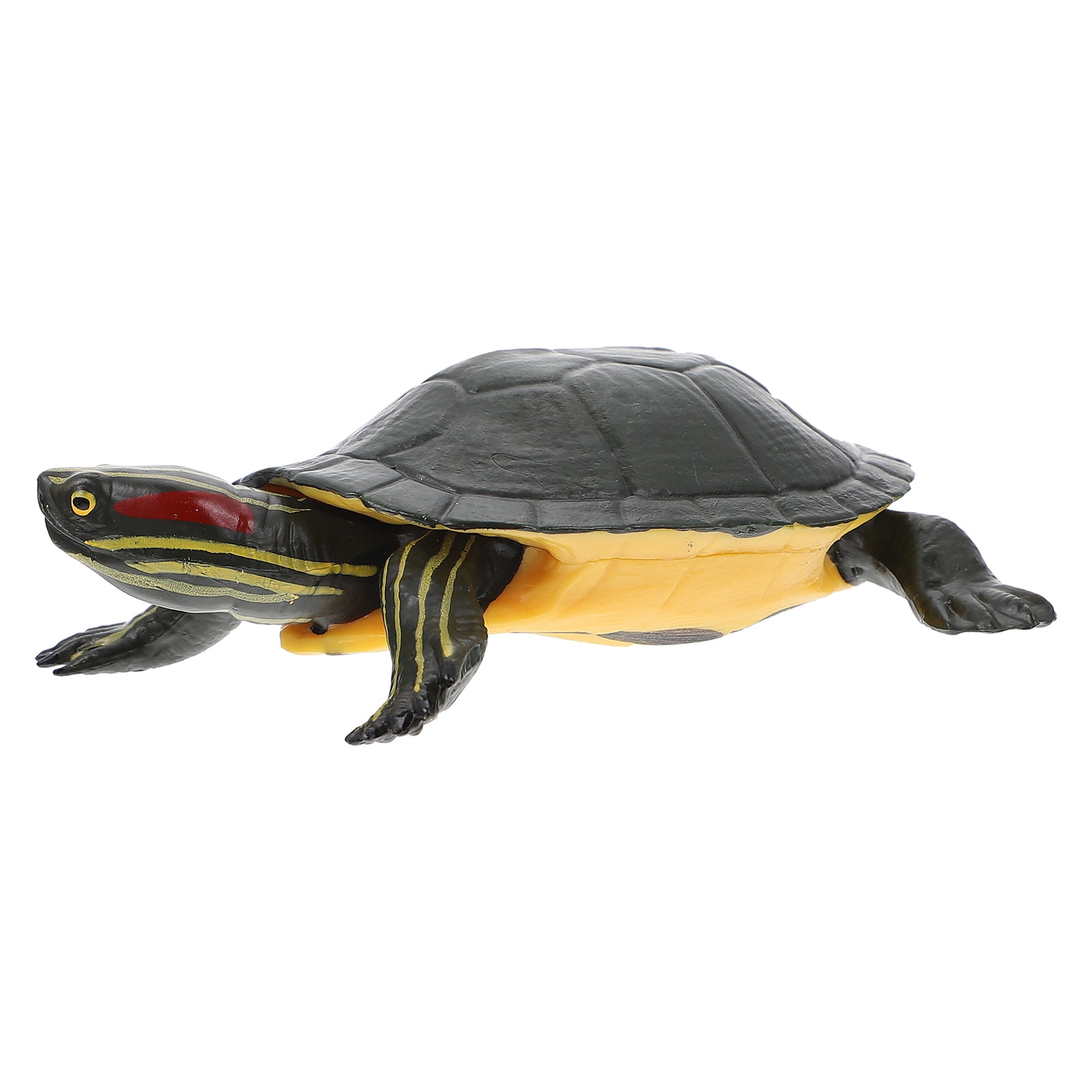2 Pack Turtle Model Science Toy Educational Child - Walmart.com