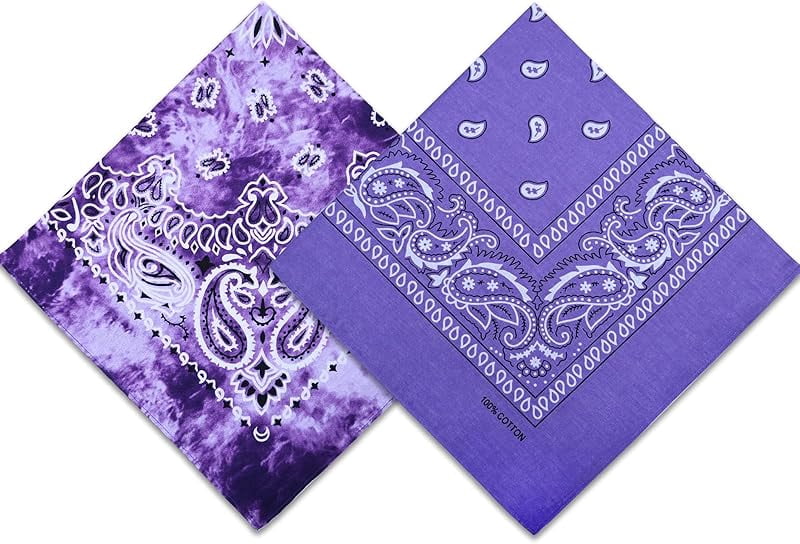 2 Pack Types of Paisley Pattern Bandanas, 22x22 Inches Cotton Bandanas ...