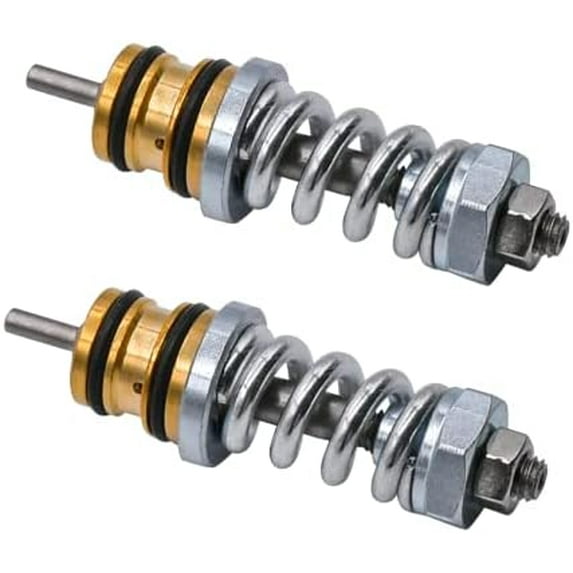 2 Pack Unloader Valve Fit for Homelite 310924003, HM-310924003, for ...