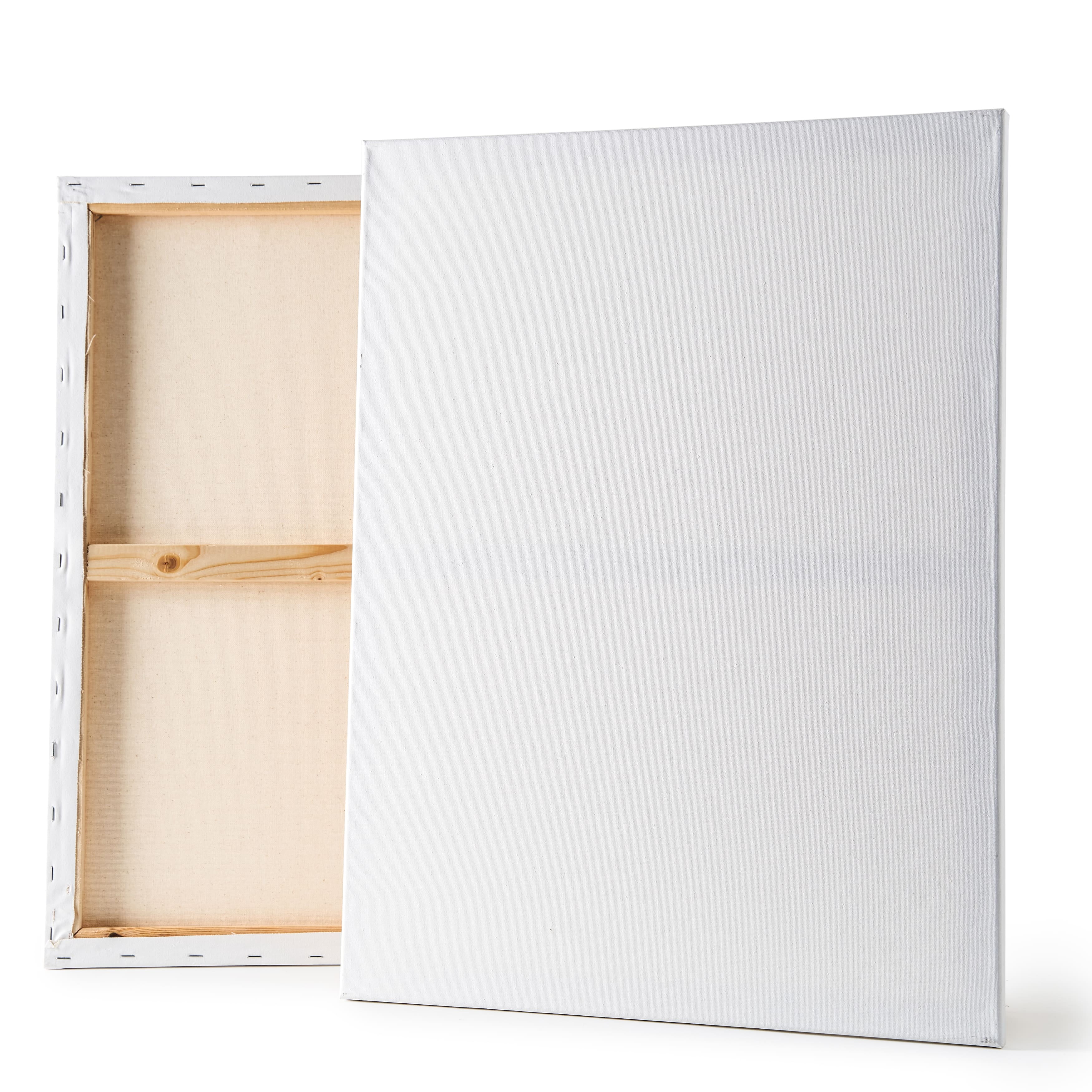 Darice Plastic Canvas Artists Sheet 7 Count ULTRA Stiff Big Clear 13.5