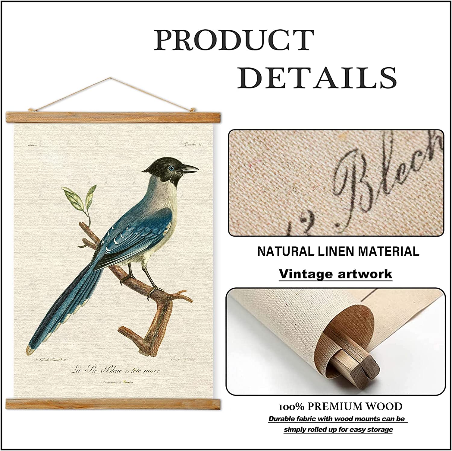 -2-Pack-Vintage-Birds-Poster,-Rustic-Room-Aesthetic,-Retro-Wall-Art ...