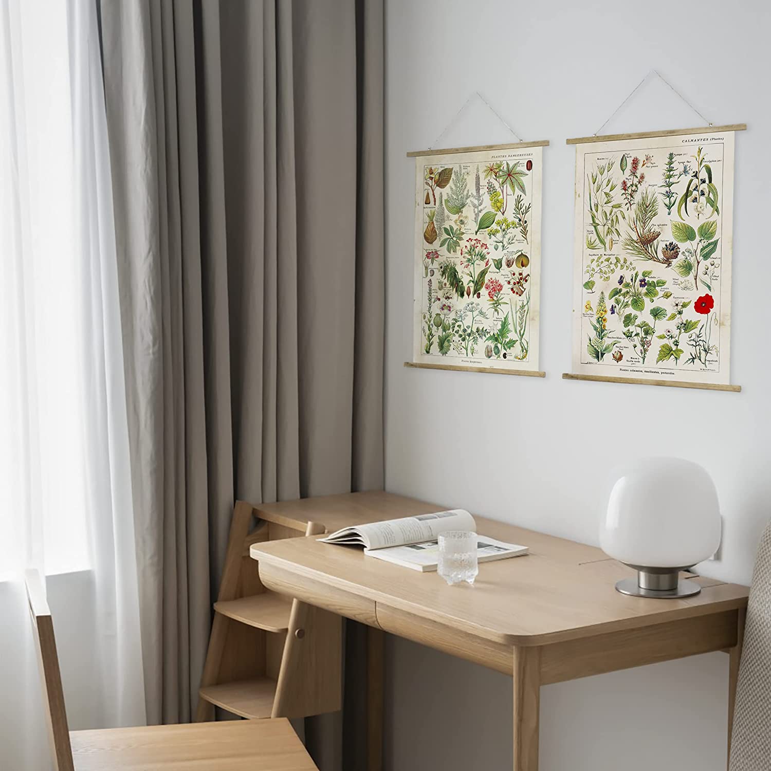 2 Pack Vintage Plant Poster with Wooden Frame - Retro Style of Wall Art ...