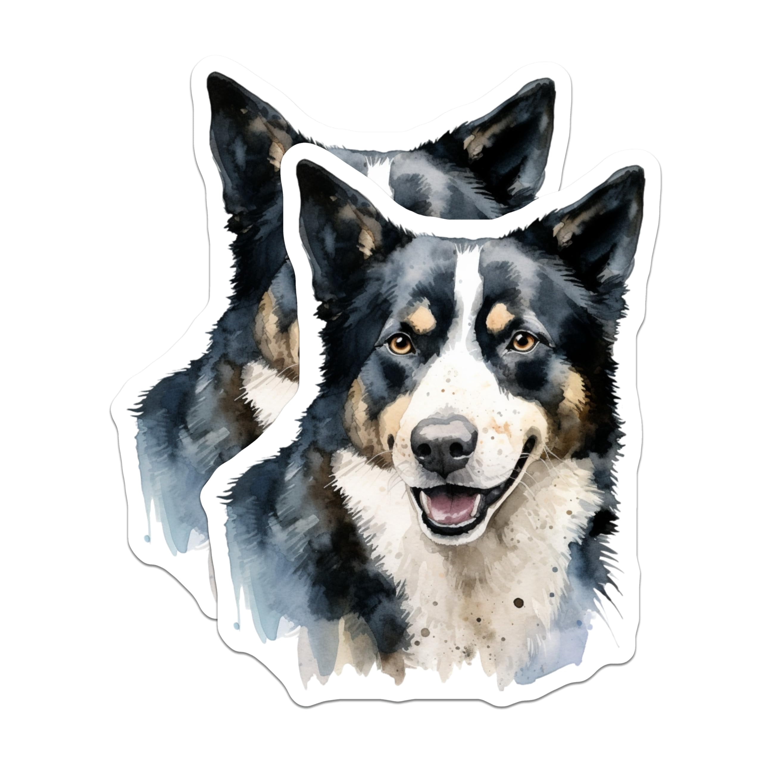 (2 Pack) Watercolor Border Collie Magnets - Dog Lover Kitchen Decor ...