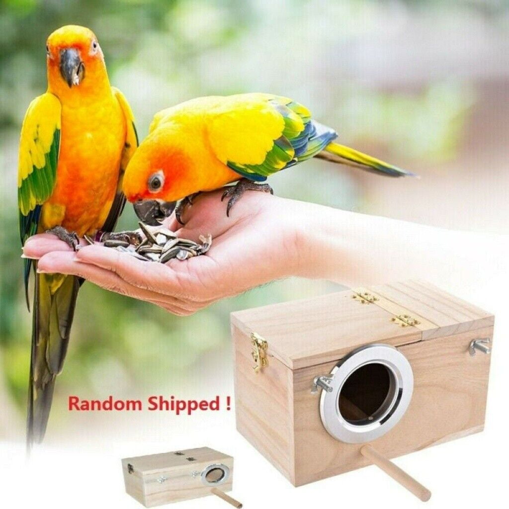 2 Pack Wild Bird Parrot Box Wooden Finch Bird Nesting Box View Window ...