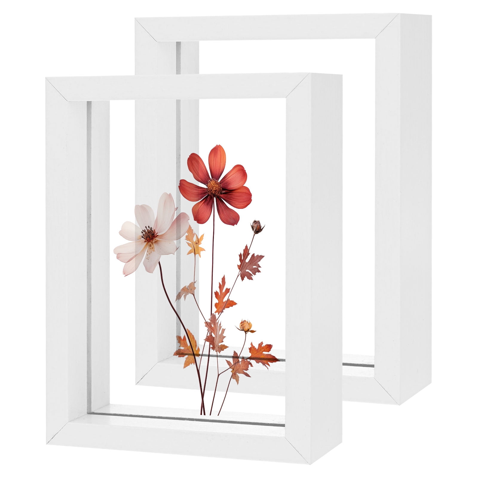 2-Pack Wooden Pressed Flower Frame, 3.5 x 5 Inch Double Acrylic ...