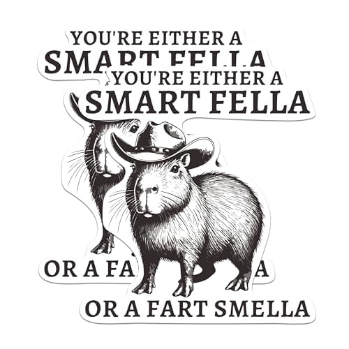 (2 Pack) You're Either A Smart Fella Or A Fart Smella Stickers - Funny ...