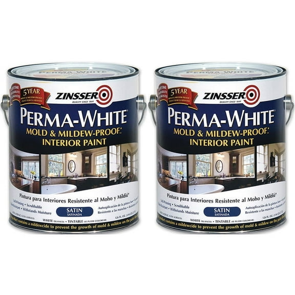 White Ceiling Paint