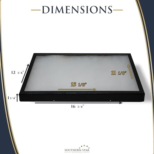 2 Pack of 12 x 16 x 1 1/4 Riker Display Cases for Collectibles Jewelry ...