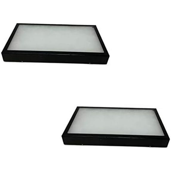 2 Pack of 14 x 8 x 1.5 Riker Display Cases Box for Collectibles ...