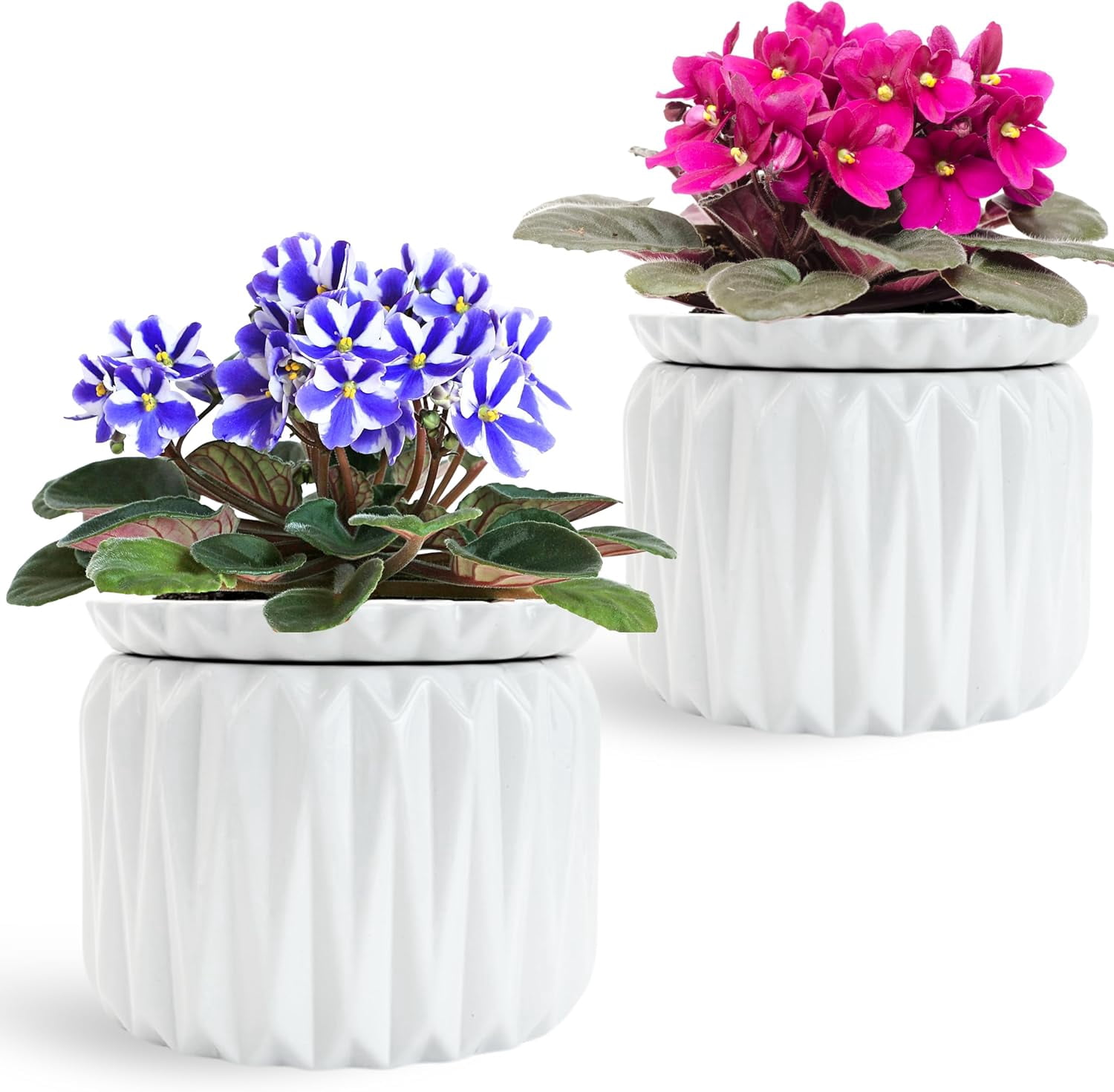 2 Pack of 6 inch Self Watering Pot for Indoor Plants, African Violet ...