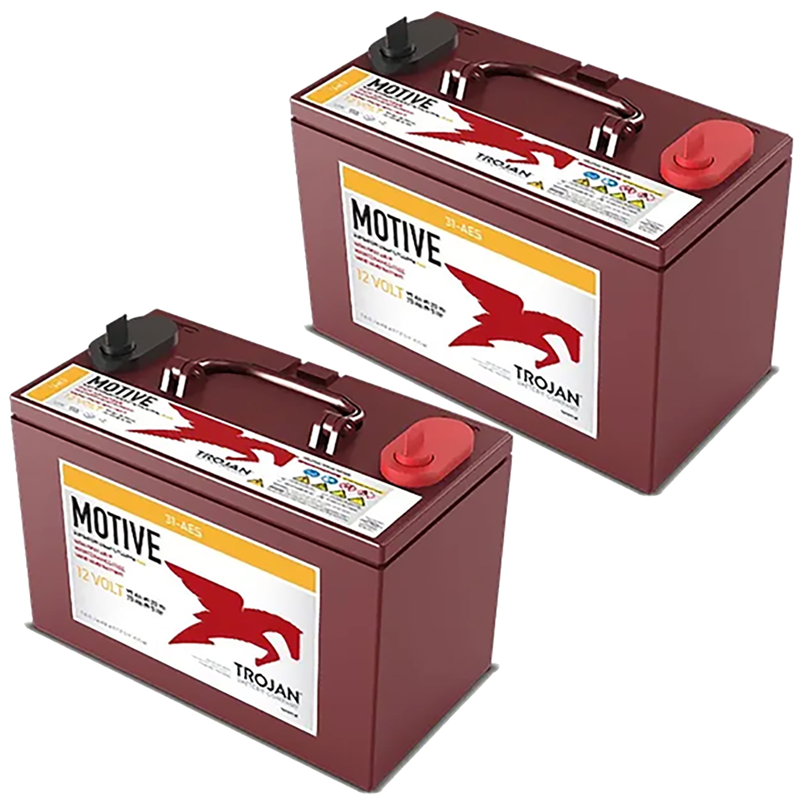 2 Pack of Trojan 31-AES-DC 12V Superior Deep Cycling VRLA AGM Batteries ...