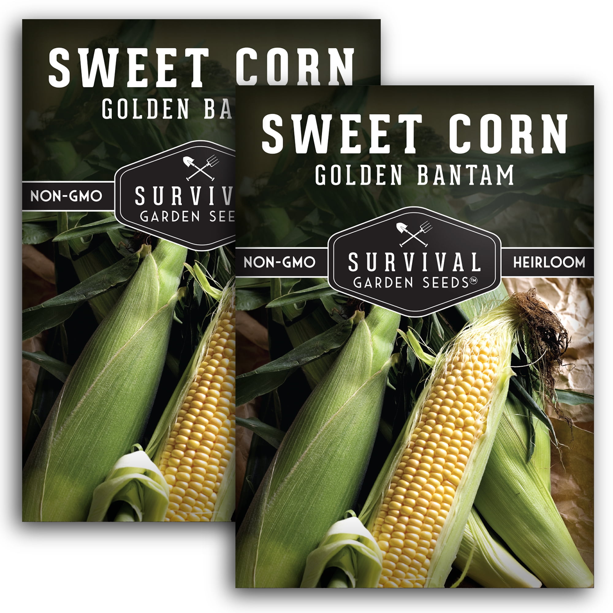 2 Packets of Golden Bantam Sweet Corn Seed - Non-GMO Heirloom Full Sun ...