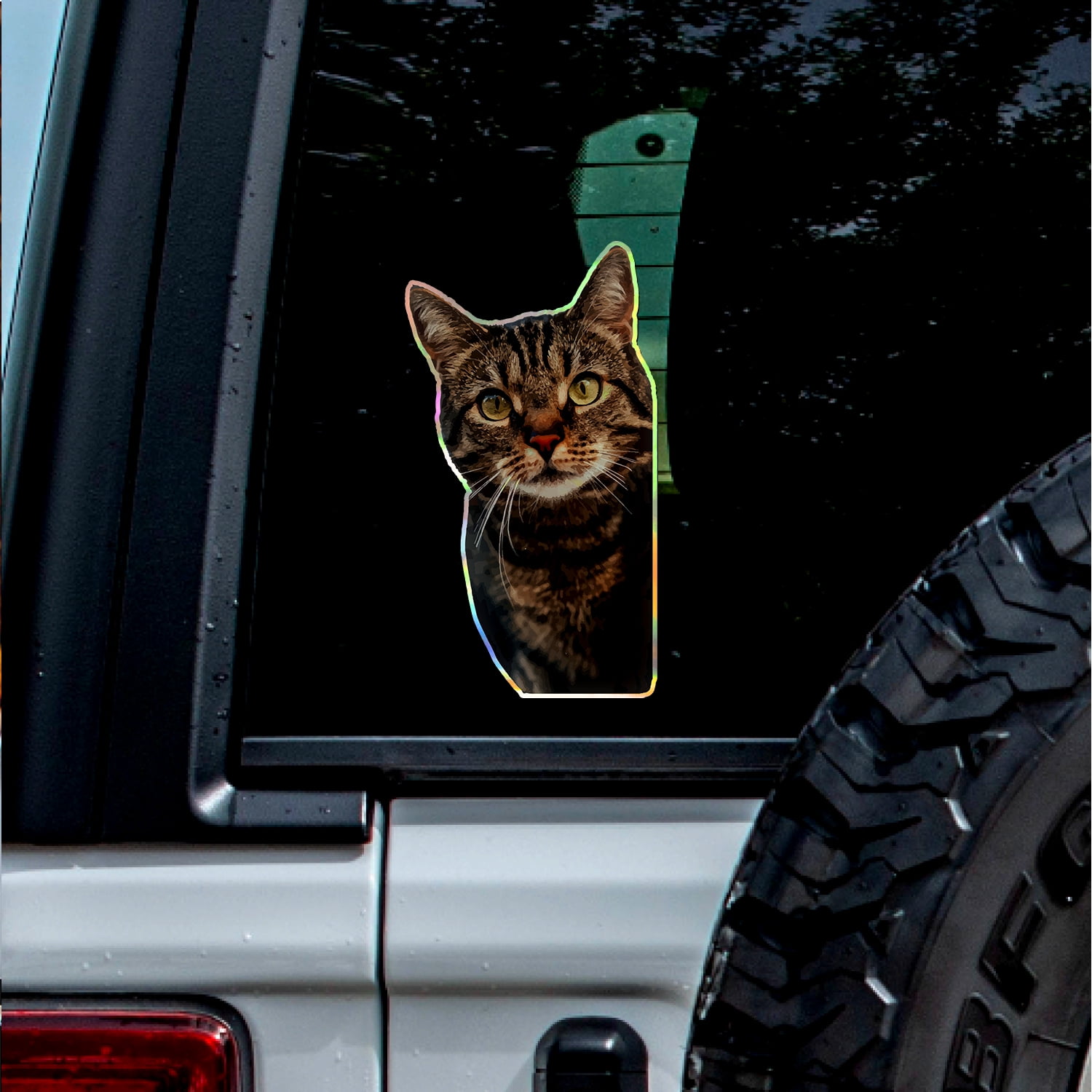 (2 Packs, 1.5'' X 2.8'') Sticker Of Cat Car Window For Car Bumper ...