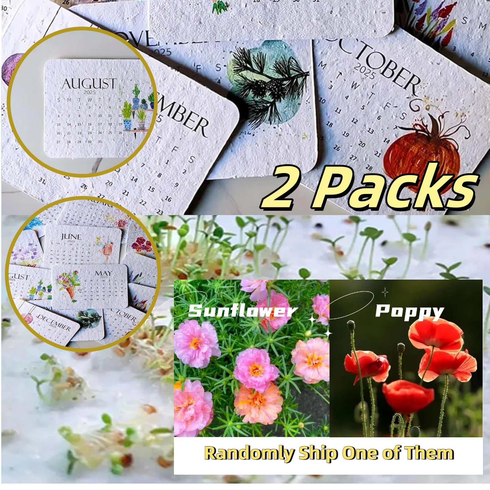 2 Packs 2025 Plantable Calendar,12 cards Eco-Friendly Greenery Planner ...