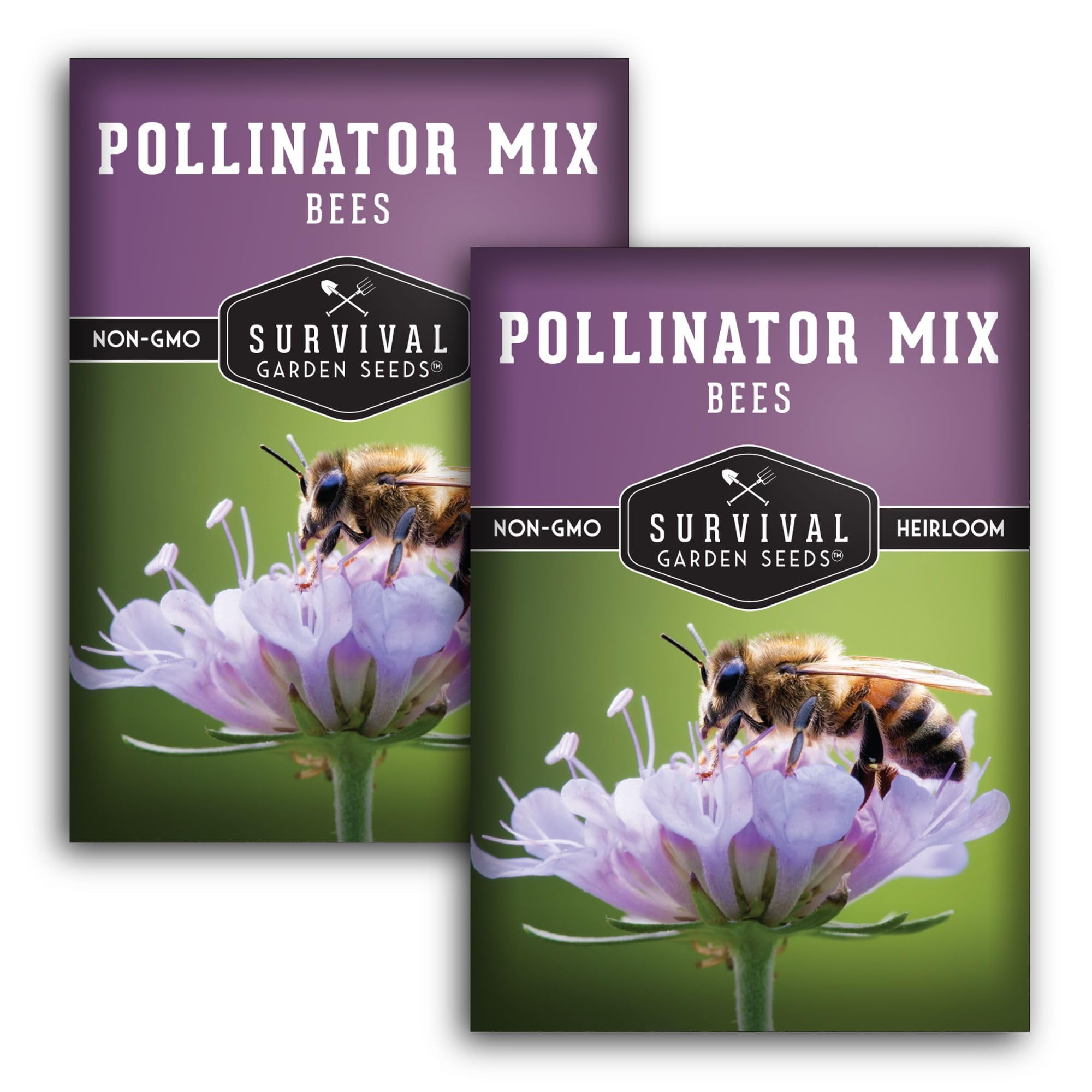 2 Packs BeeITSC Pollinator Mix Seed for Planting - Packet Instructions ...