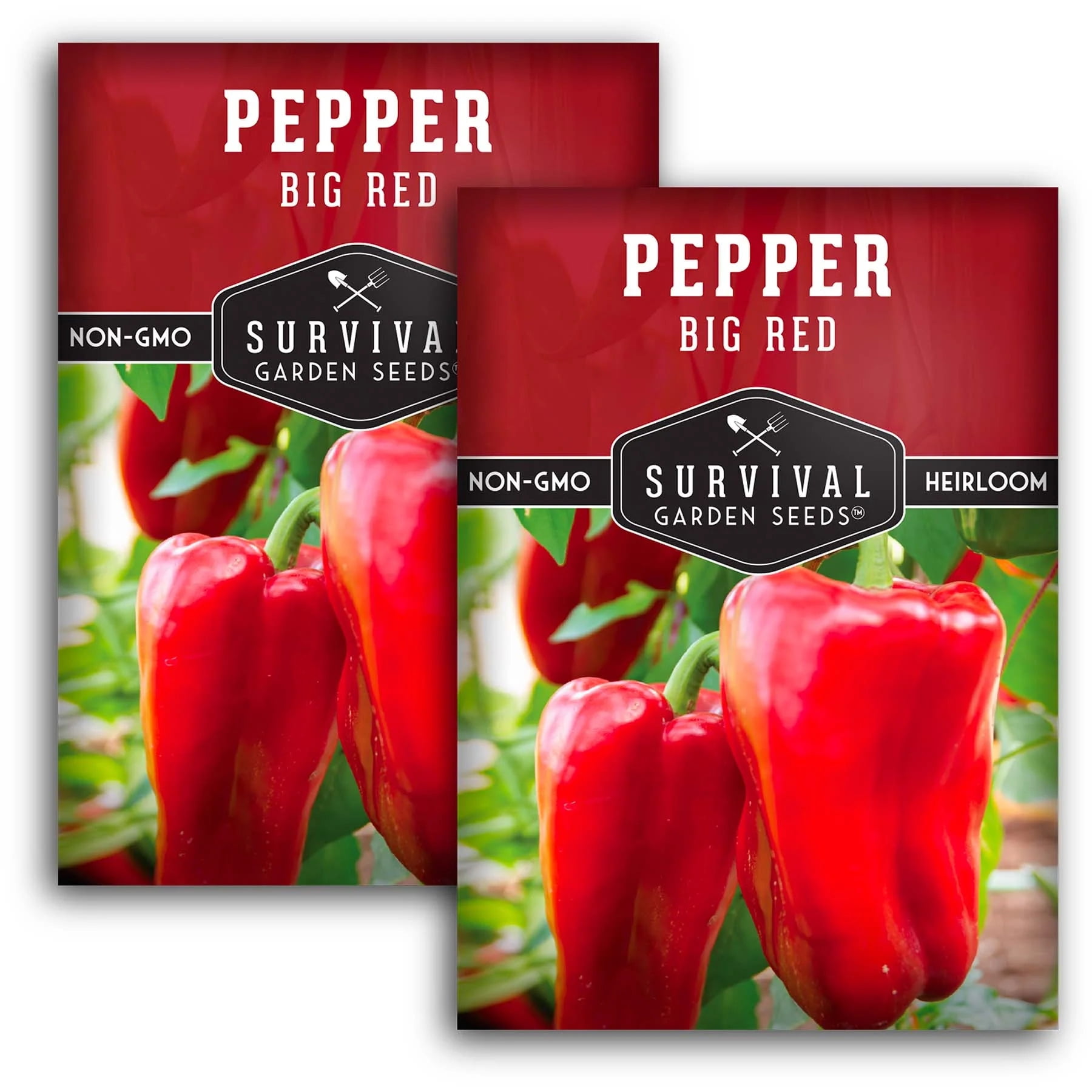 2 Packs Big Red Pepper Seeds - Non-GMO Heirloom Full Sun Annual ...
