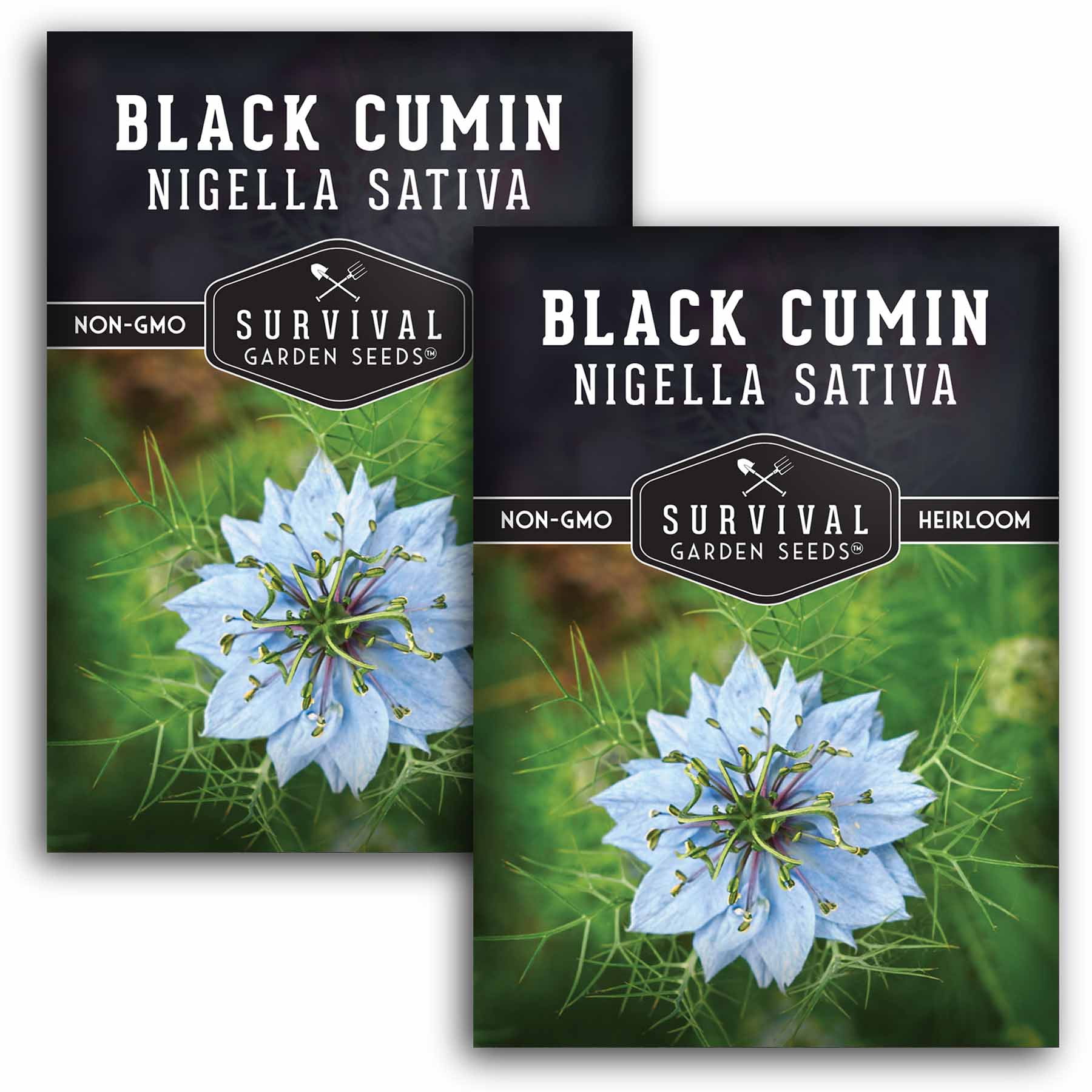 2 Packs Black Cumin Seed - Nigella Sativa - Non-GMO Heirloom Perennial ...