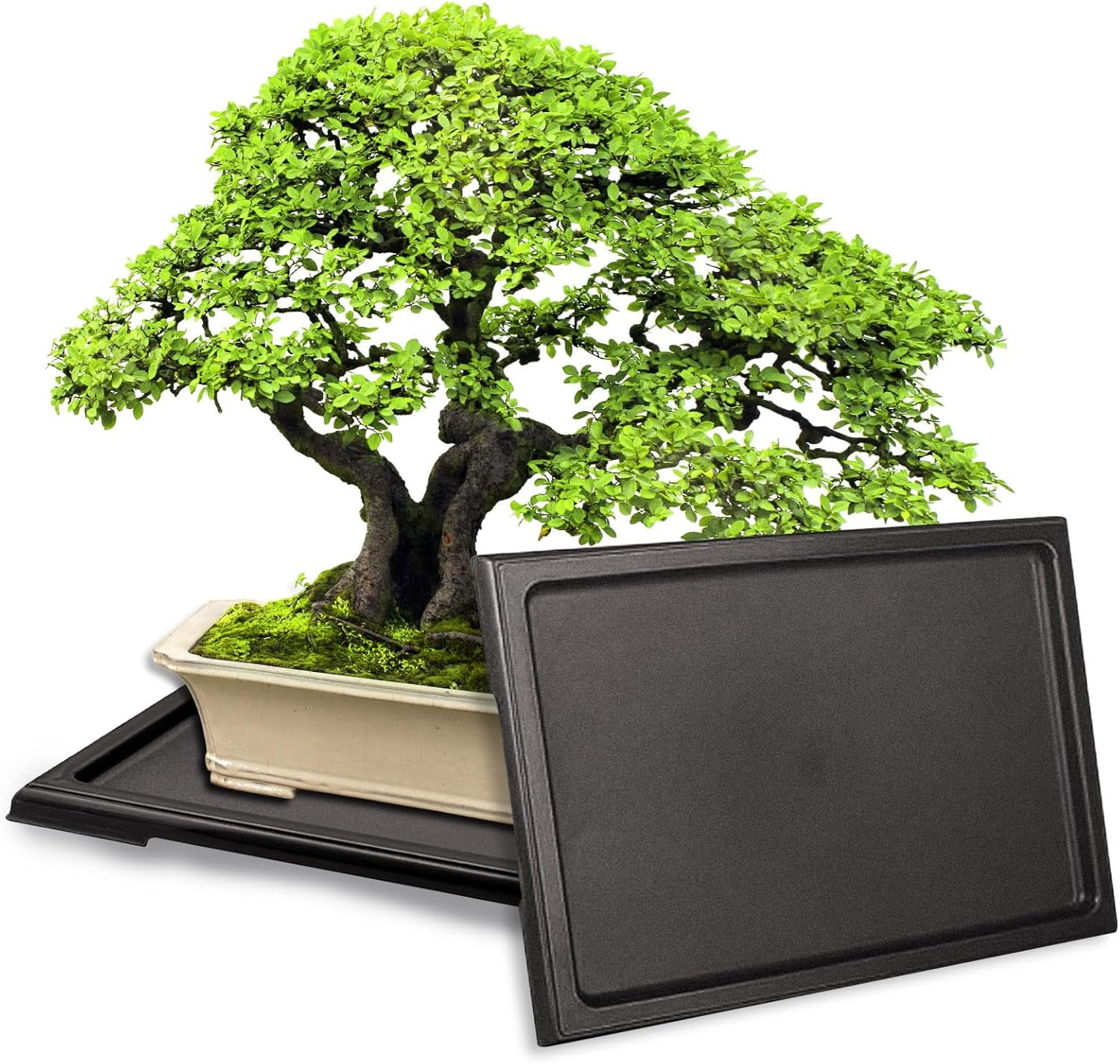 2 Packs Bonsai Humidity Plant Tray Drip Trays, Square Plastic Pot ...