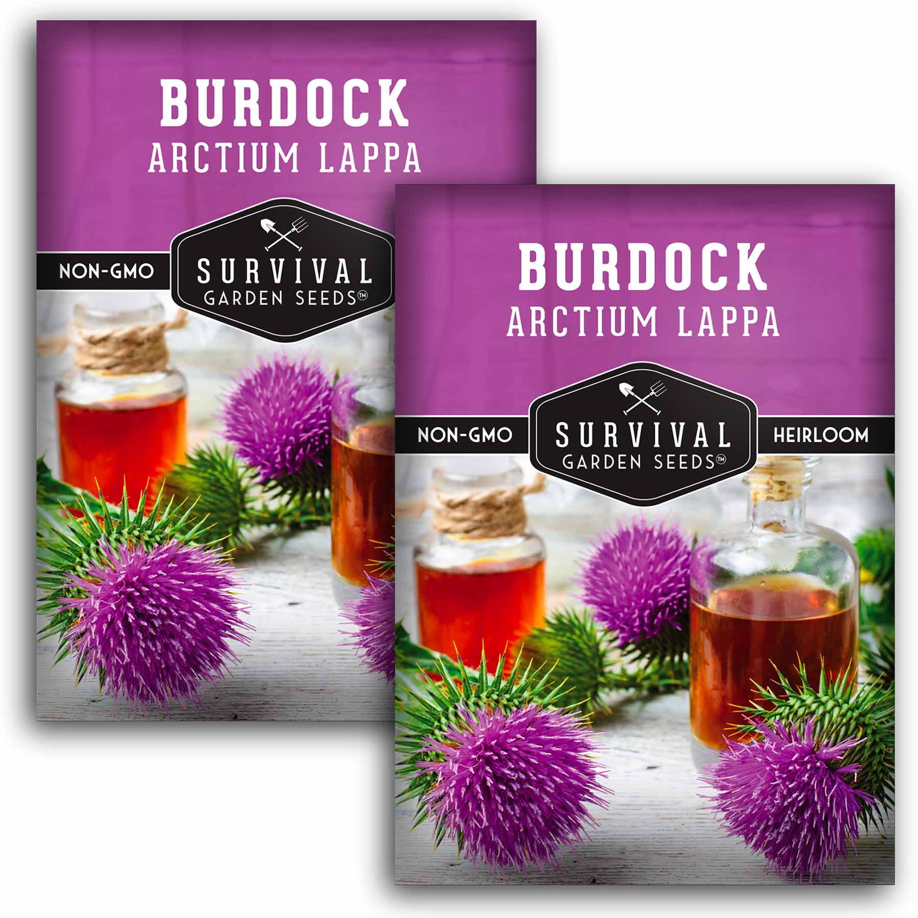 2 Packs Burdock Root Seeds - Non-GMO Heirloom Biennial Full Sun Herb ...