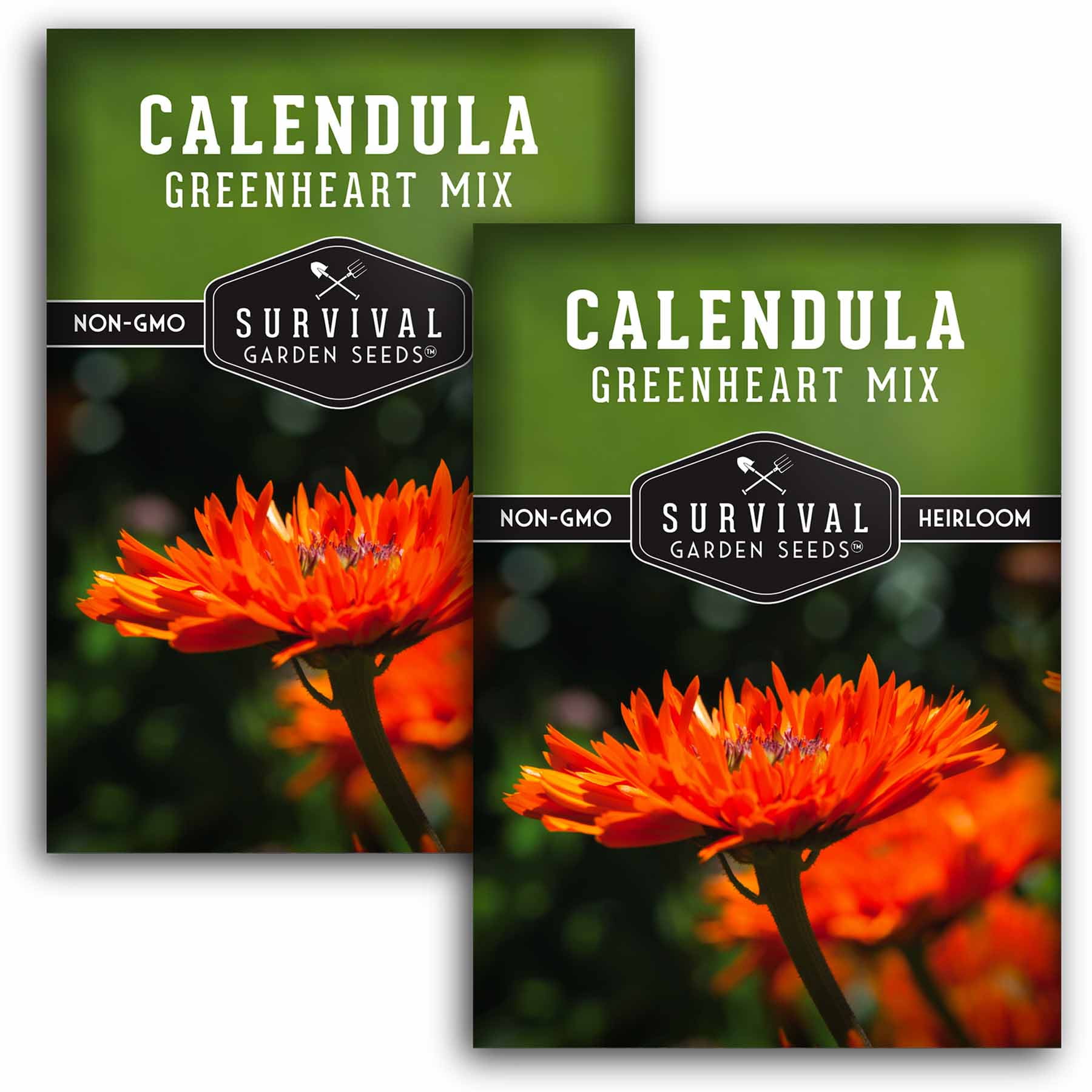 2 Packs Calendula Greenheart Mix Seed - Non-GMO Heirloom Annual Full ...