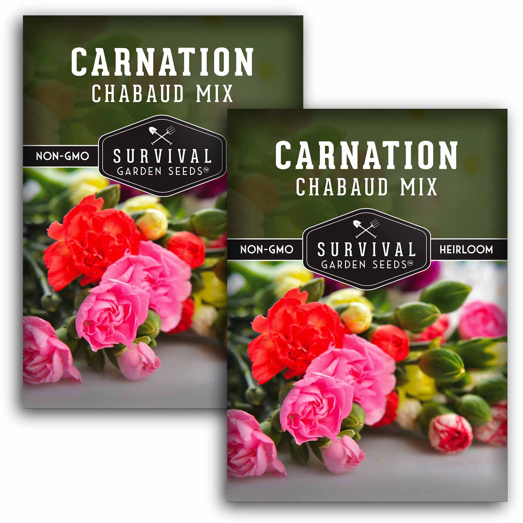 2 Packs Chabaud Mix Carnation Seed - Dianthus Caryophyllus - Non-GMO ...