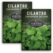 3 Packs Italian Giant Parsley Seeds - Non-GMO Heirloom Full Sun ...