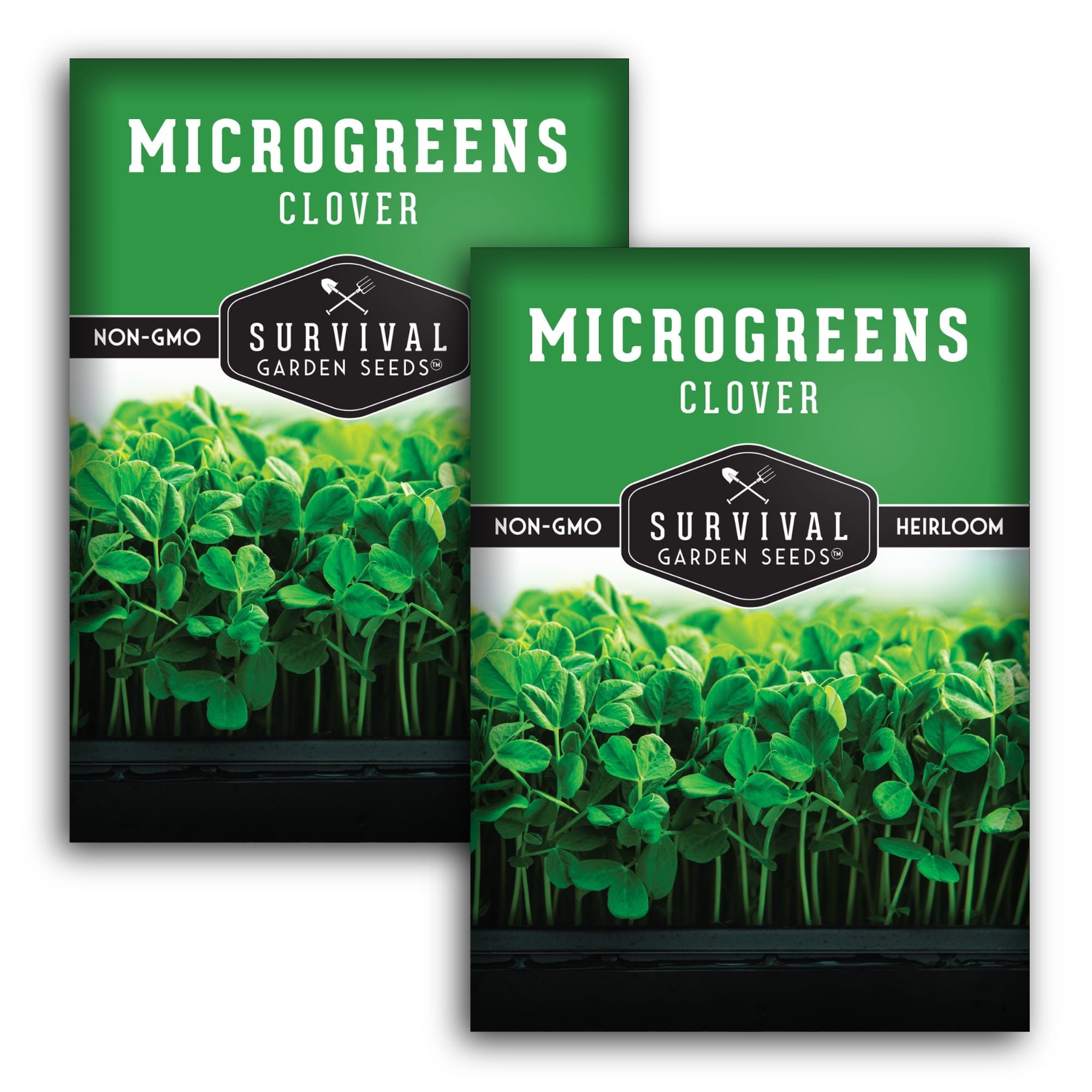 2 Packs Clover Microgreens Seeds - Non-GMO Heirloom Annual Full Sun ...