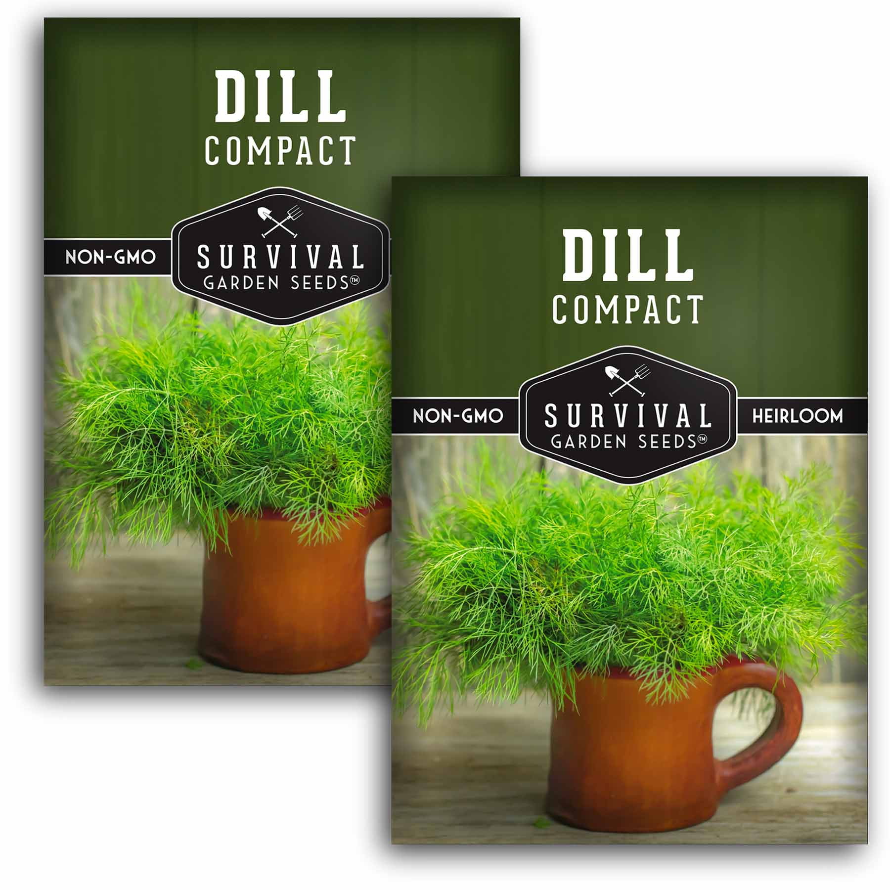 2 Packs Compact Dill Seeds - Dwarf Dill Herb - Organic Non-GMO Heirloom ...