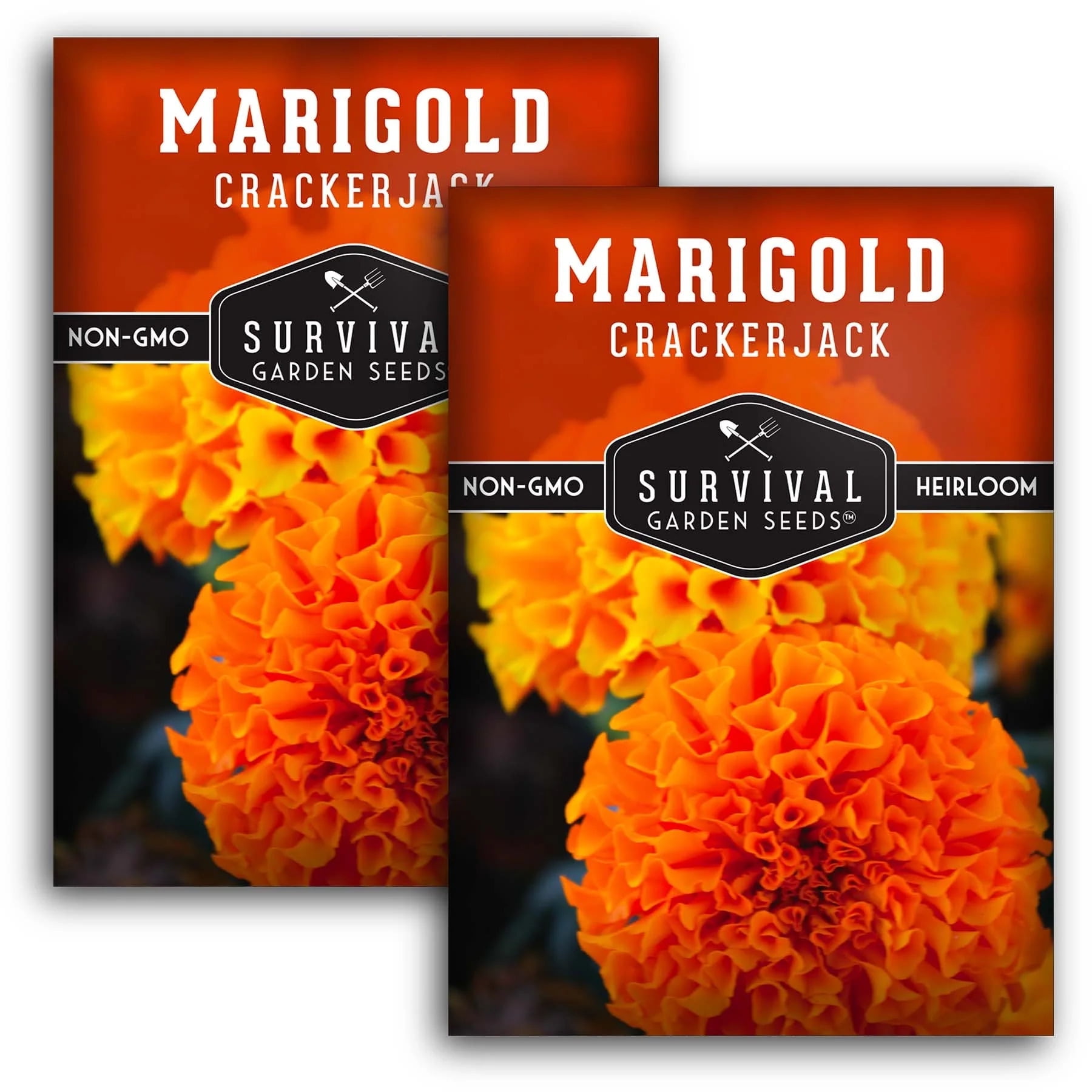2 Packs Crackerjack Marigold Seed - Non-GMO Heirloom Full Sun Annual ...