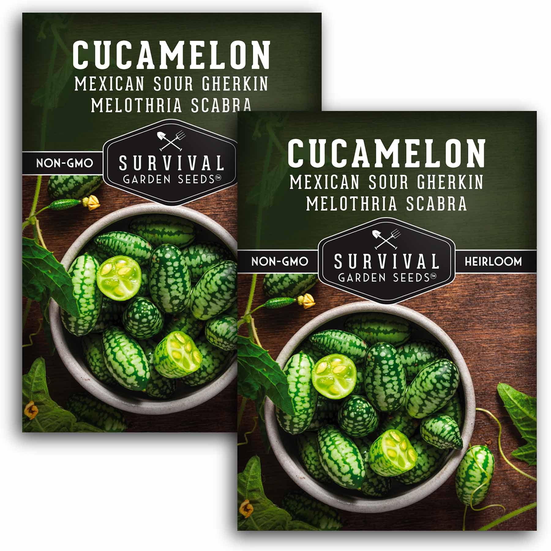 2 Packs Cucamelon Seeds - Sour Mini Watermelon Cucumbers - Organic Non ...