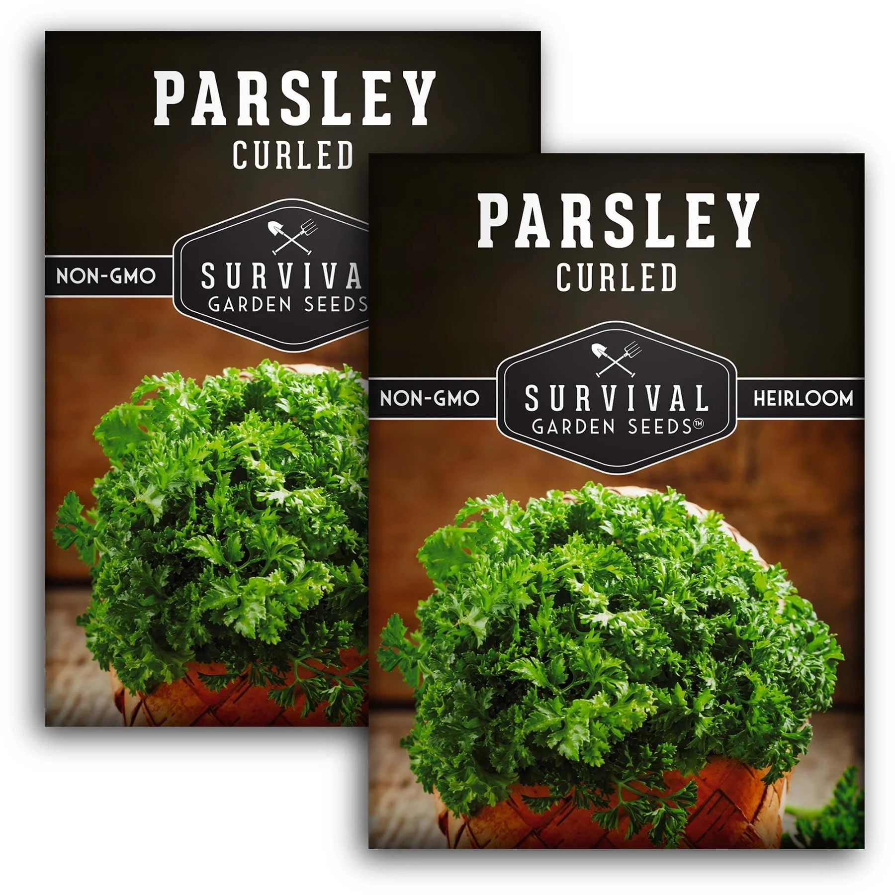 2 Packs Curled Parsley Seeds - Non-GMO Heirloom Full Sun Biennial Herb ...