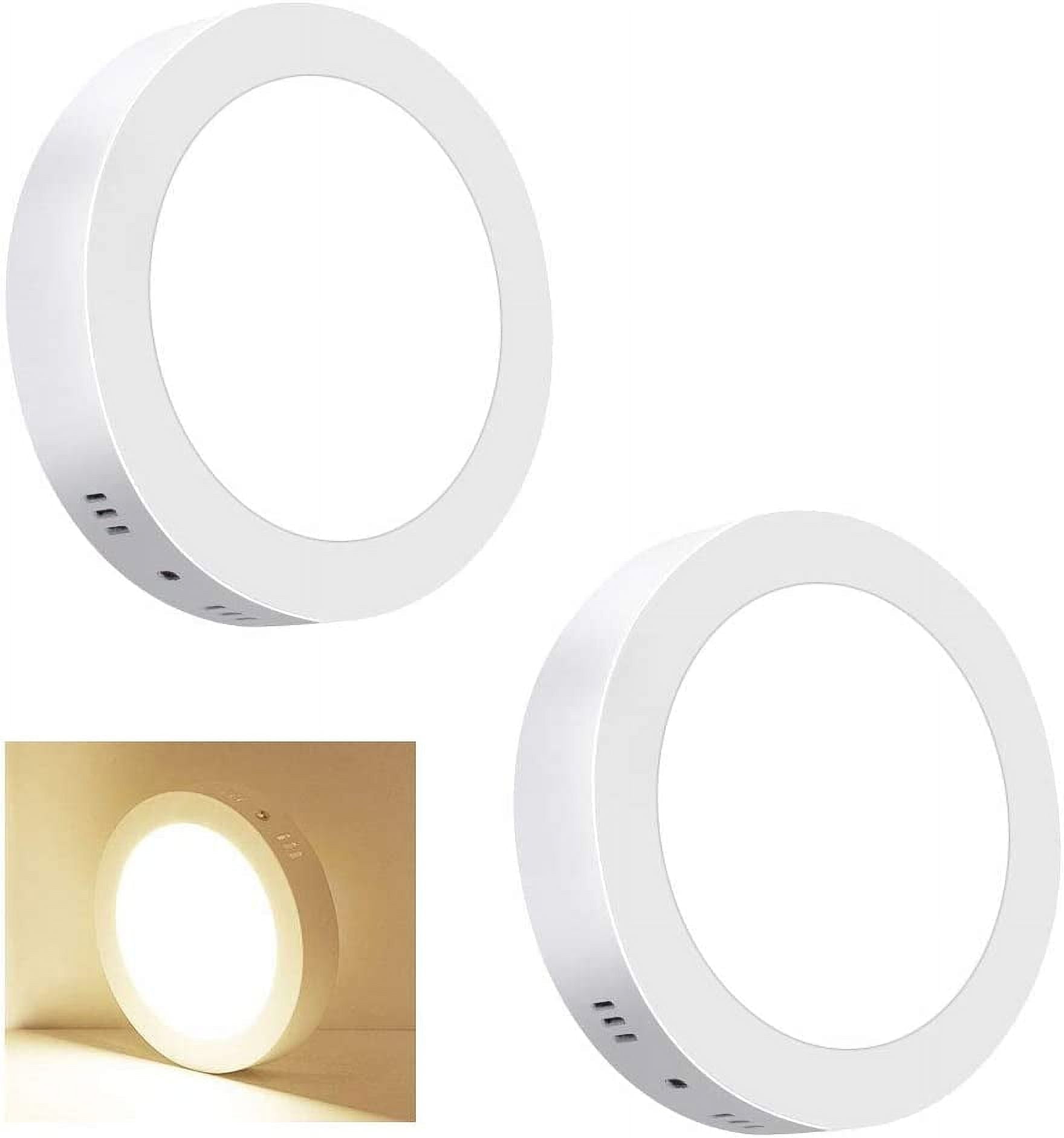 2 Packs DingLiLighting 12W LED Flush Mount Ceiling Light Fixture Indoor ...