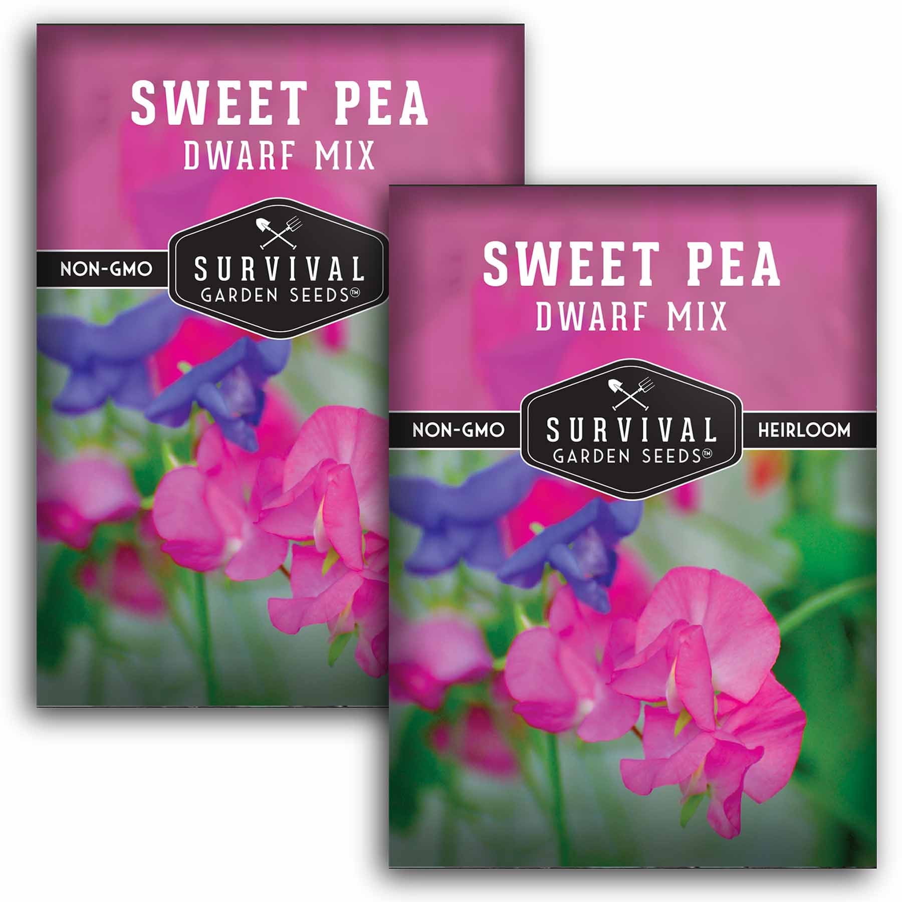2 packs Dwarf Mix Sweet Pea Flower Seeds - Heirloom Annual Full Sun ...