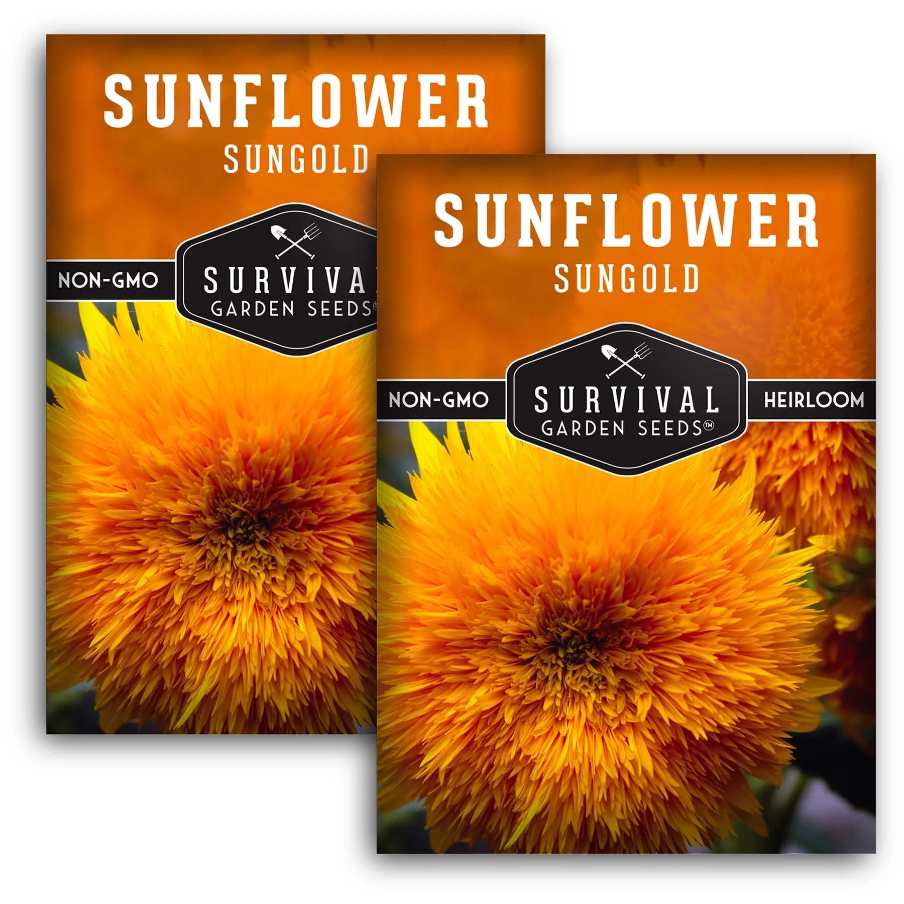 2 Packs Dwarf Sungold Sunflower Seeds - Full Sun - Annual - Walmart.com