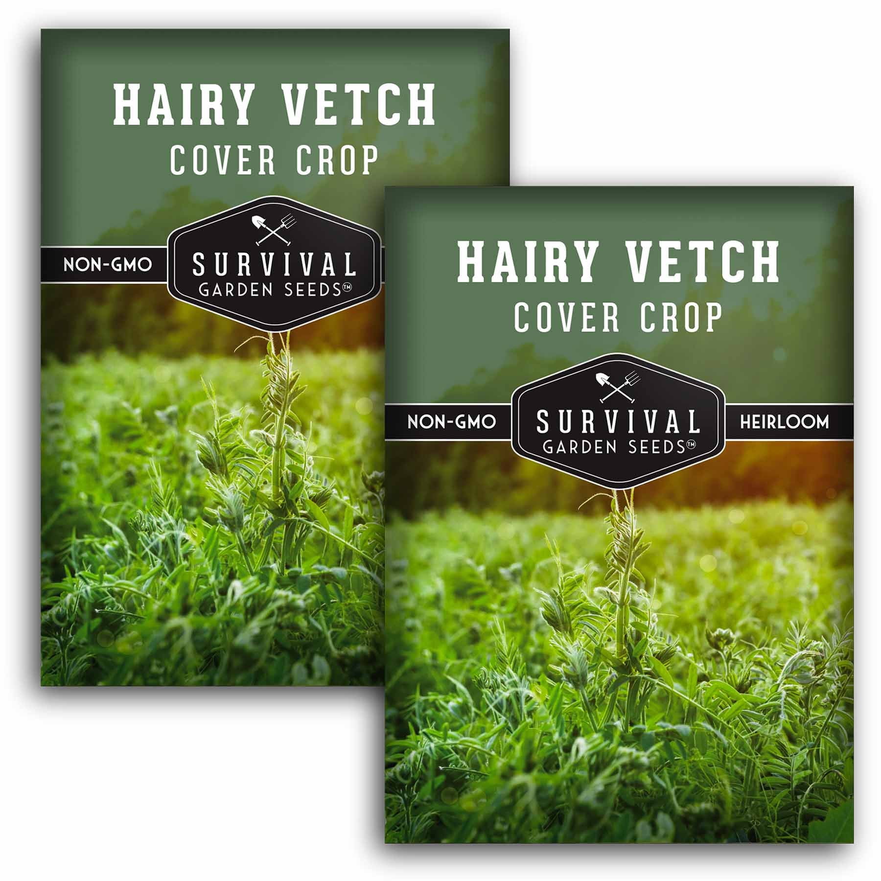 2 packs Hairy Vetch Seeds - Non-GMO Heirloom Annual Full Sun Herb Cover ...