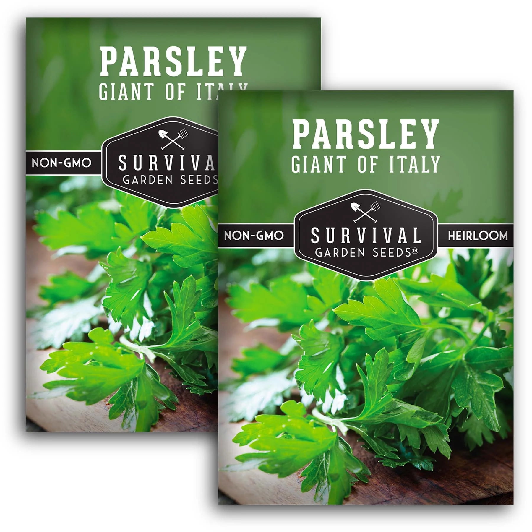 2 Packs Italian Giant Parsley Seeds - Non-GMO Heirloom Full Sun ...
