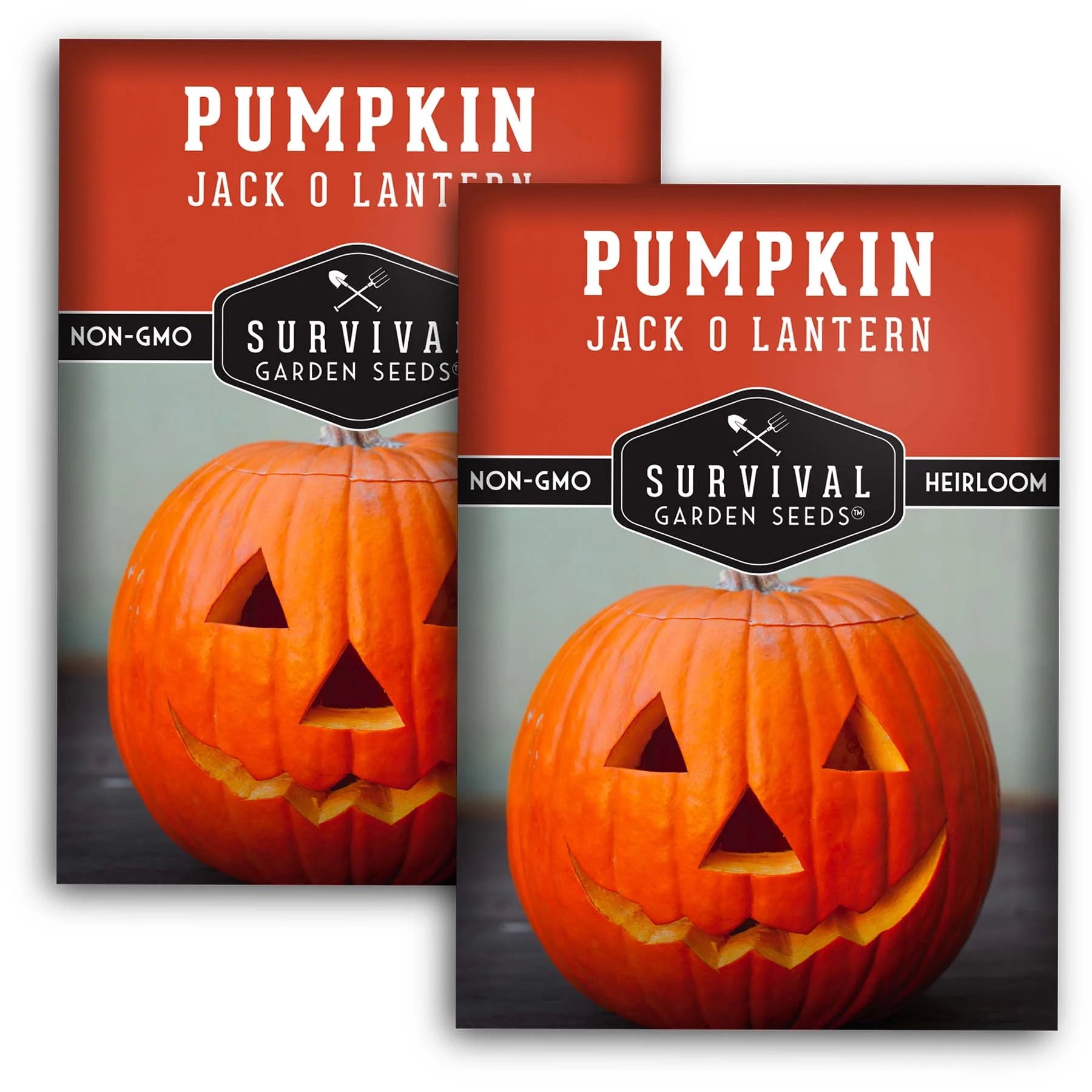 2 Packs Jack-O-Lantern Pumpkin Seed - Non-GMO Heirloom Full Sun Annual ...