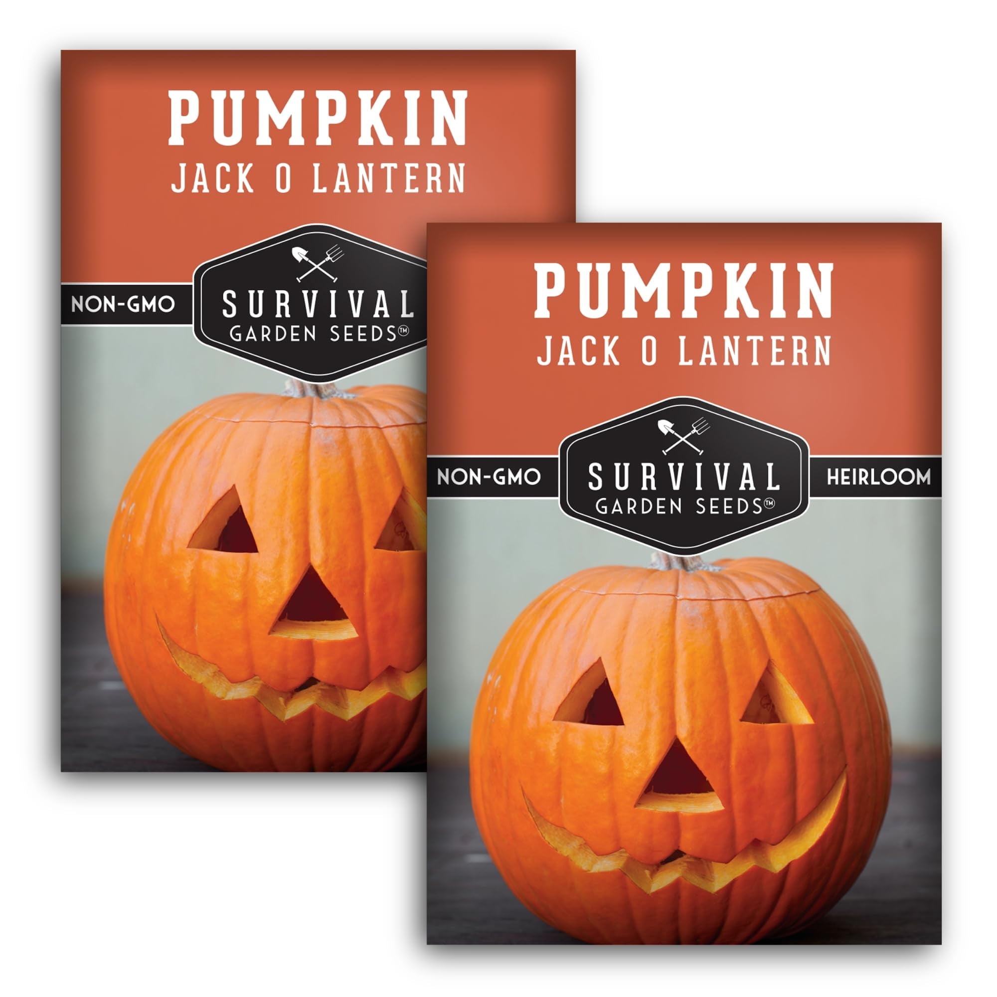 2 Packs Jack-O-Lantern Pumpkin Seeds - Non-GMO Heirloom Full Sun Annual ...